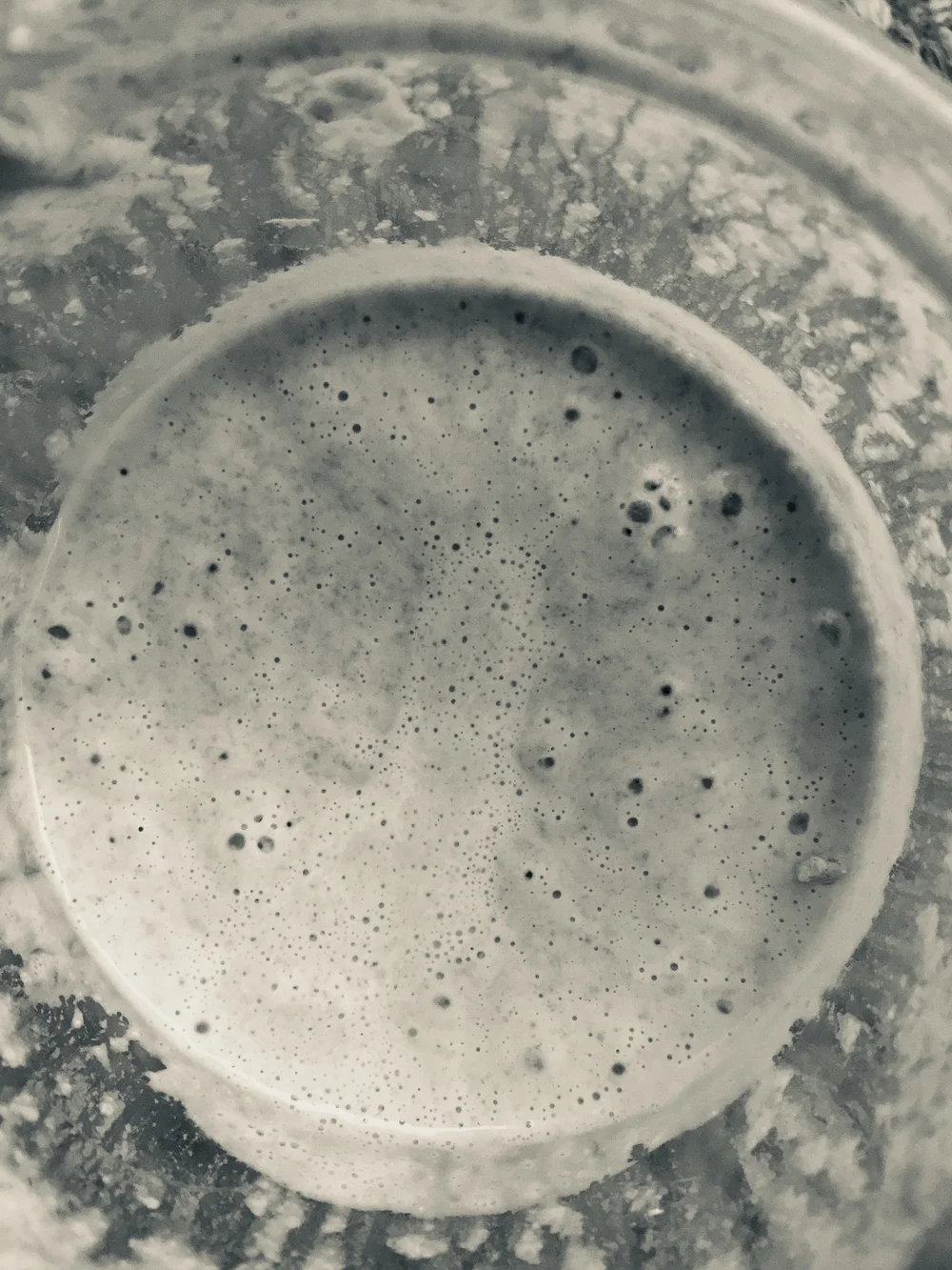 Cherry Chocolate Rye Levain — Quail Hollow Kitchens