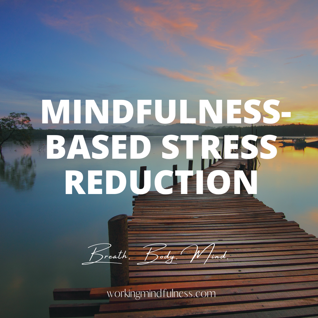 Working Mindfulness Studio Chicago