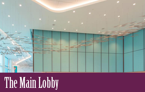 Large Scale Transformation — Corporate Art Trends