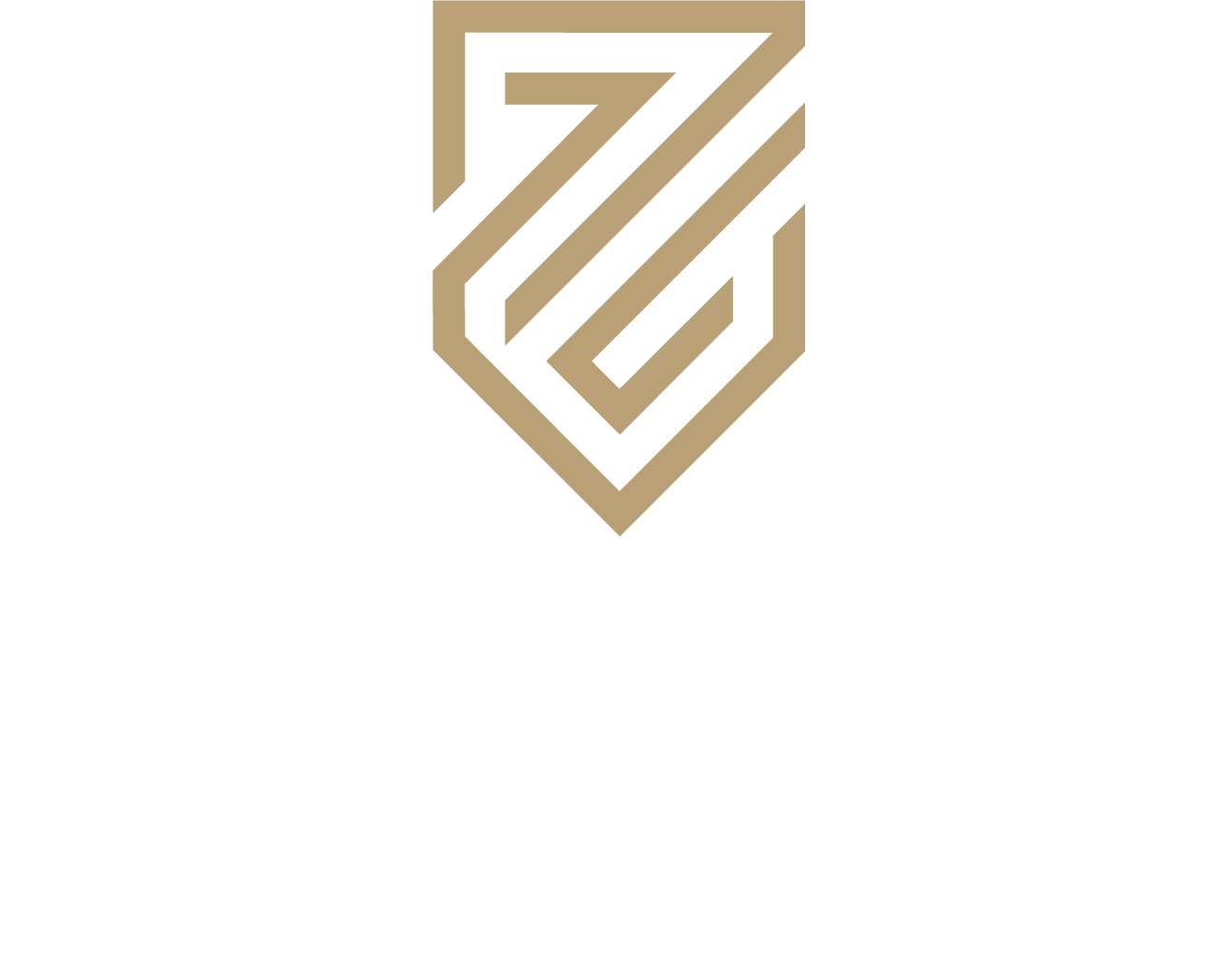 Zenith Protection Systems