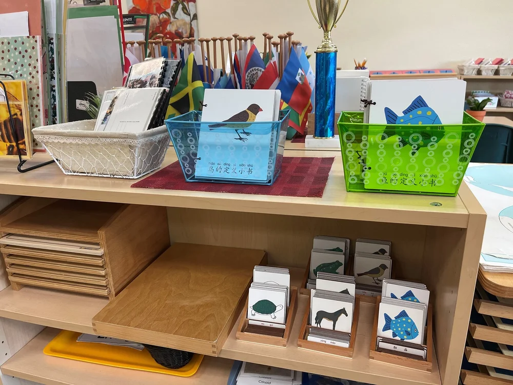 Our programs — St. Mary's Montessori