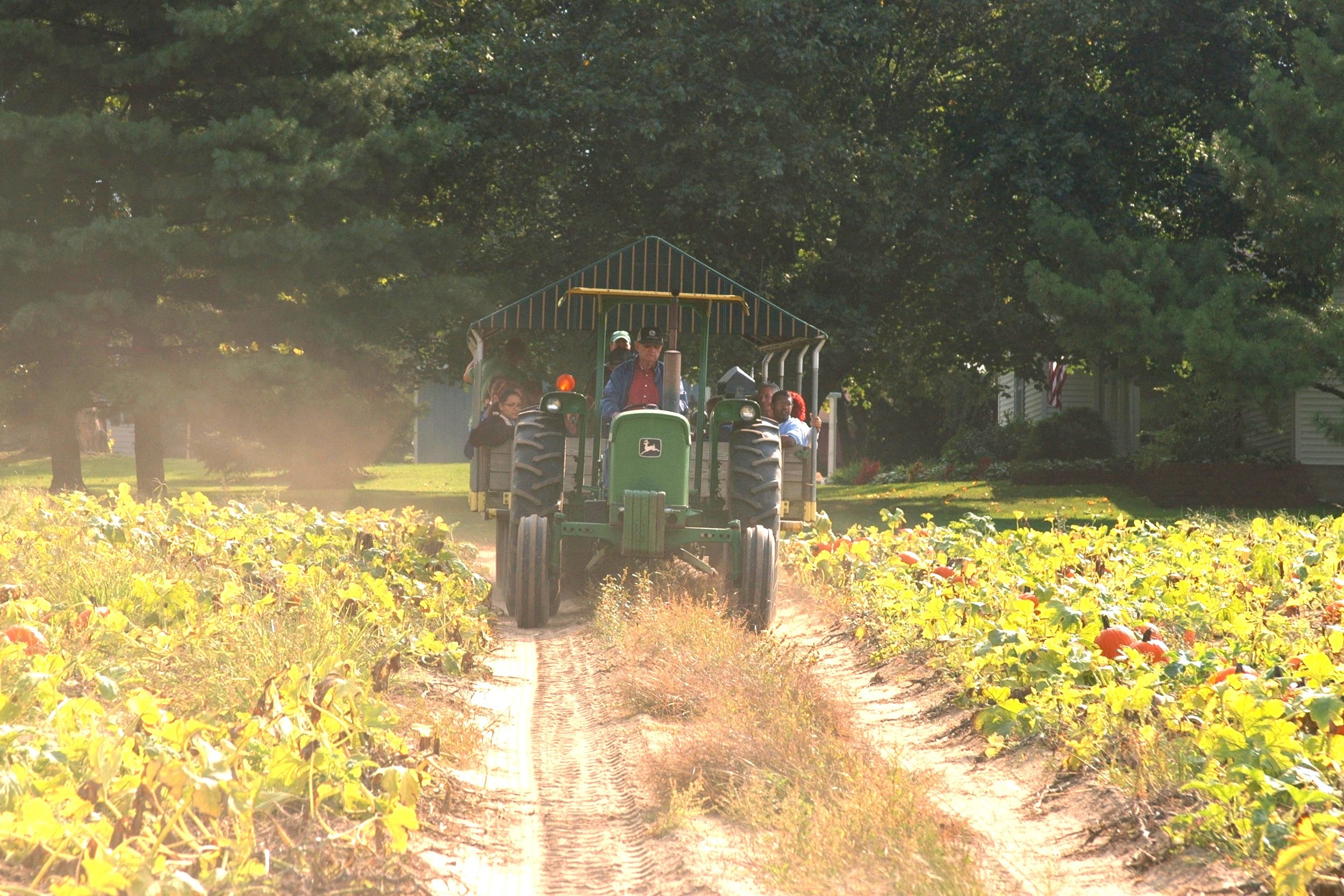 Birthday Party Registration — Duffield's Farm Market