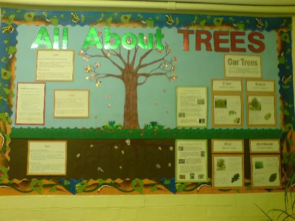 Info for Schools — Earth Restoration Service