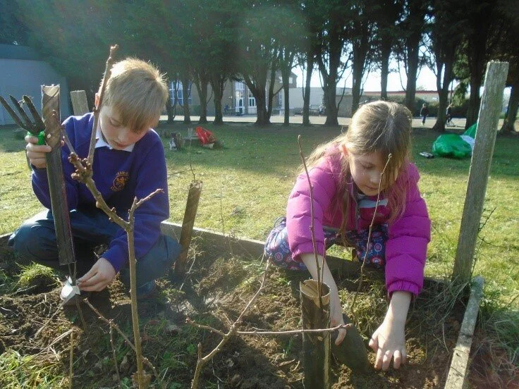 Cumnor CE Primary, Oxford — Earth Restoration Service