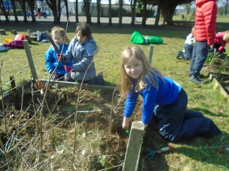Cumnor CE Primary, Oxford — Earth Restoration Service