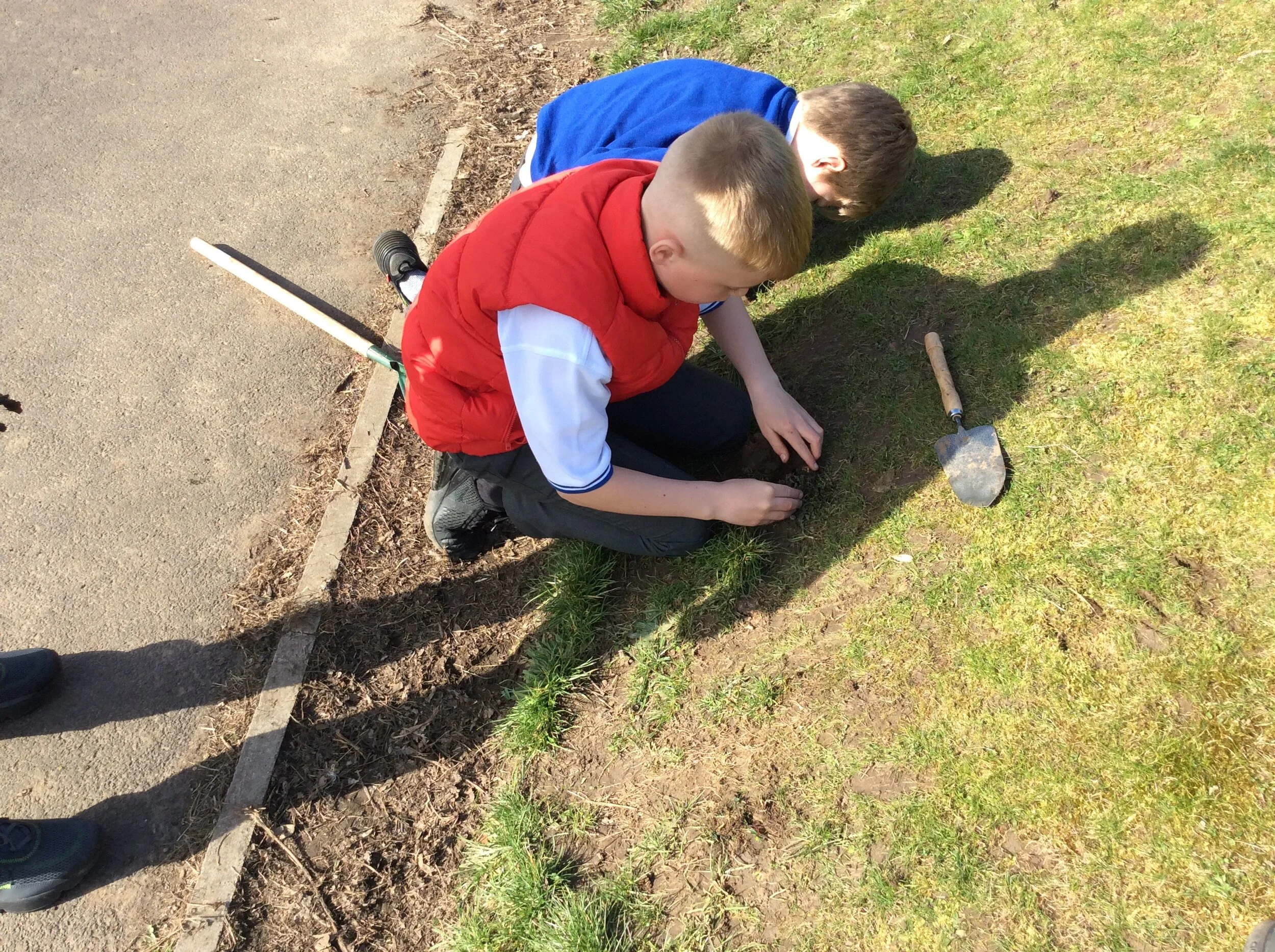 Primary School students plant wildflowers in Sunderland — Earth ...