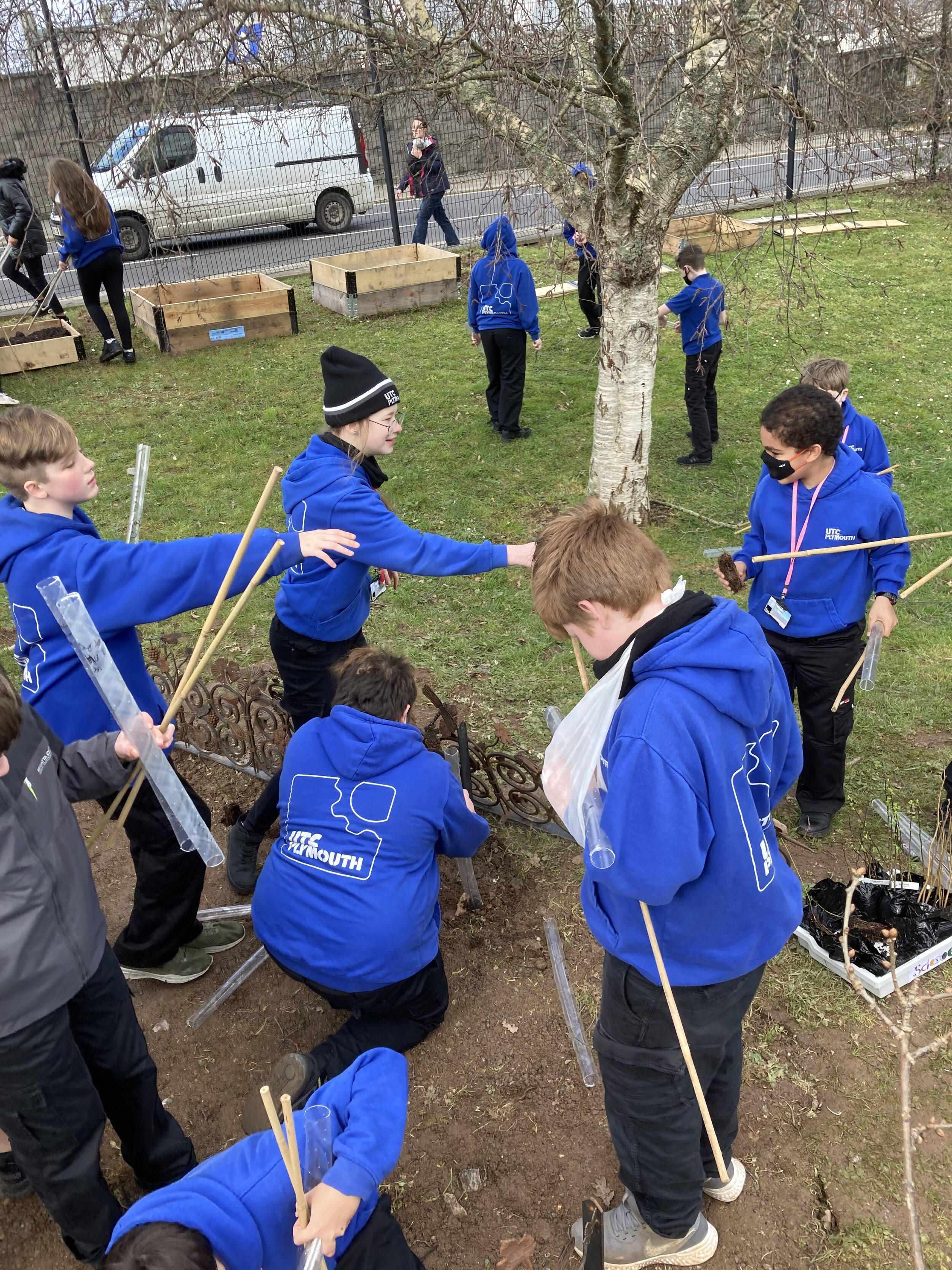 Students plant Tree Nursery as part of Eco-School Project in Plymouth ...