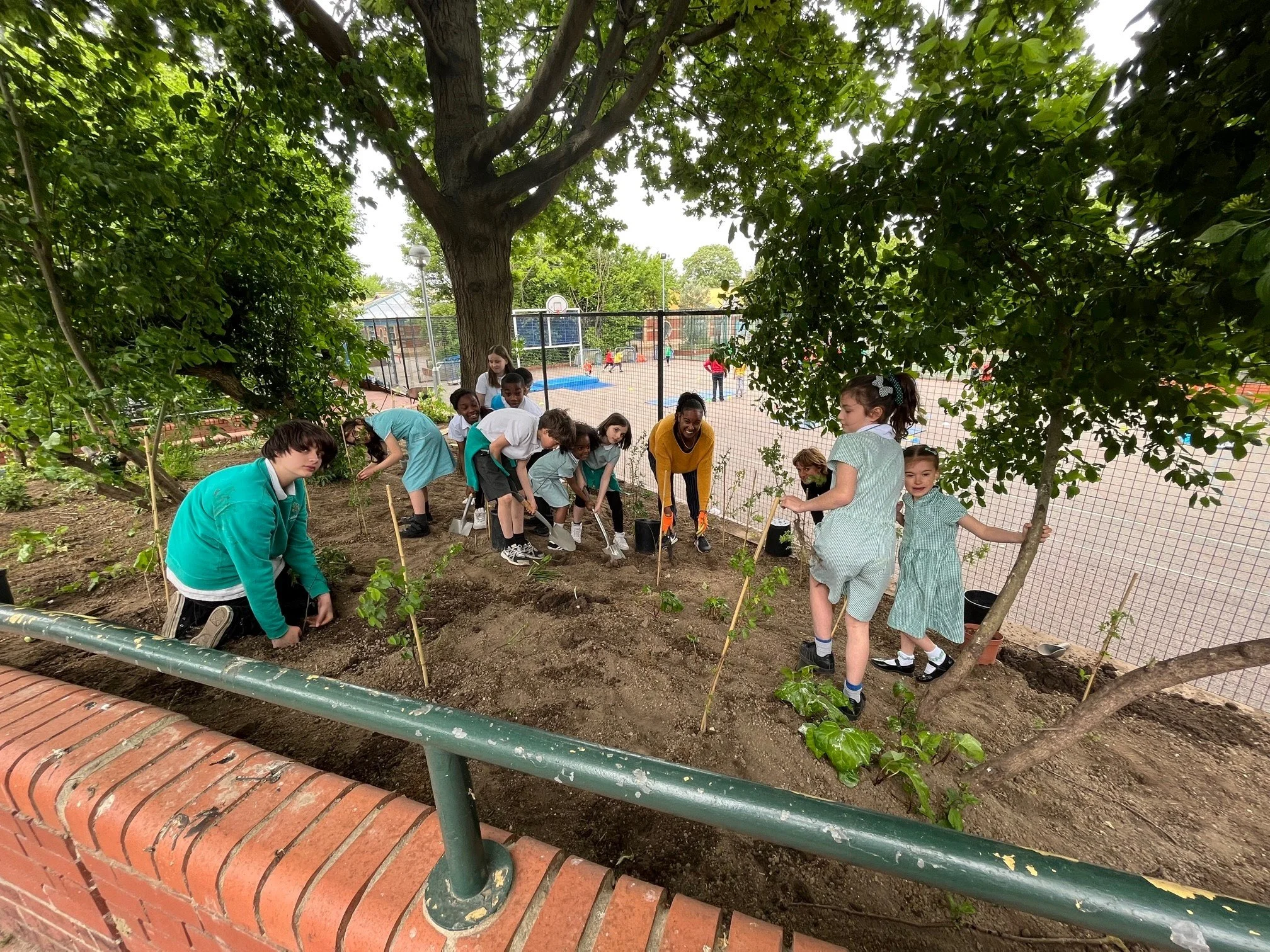 Rushmore Primary School