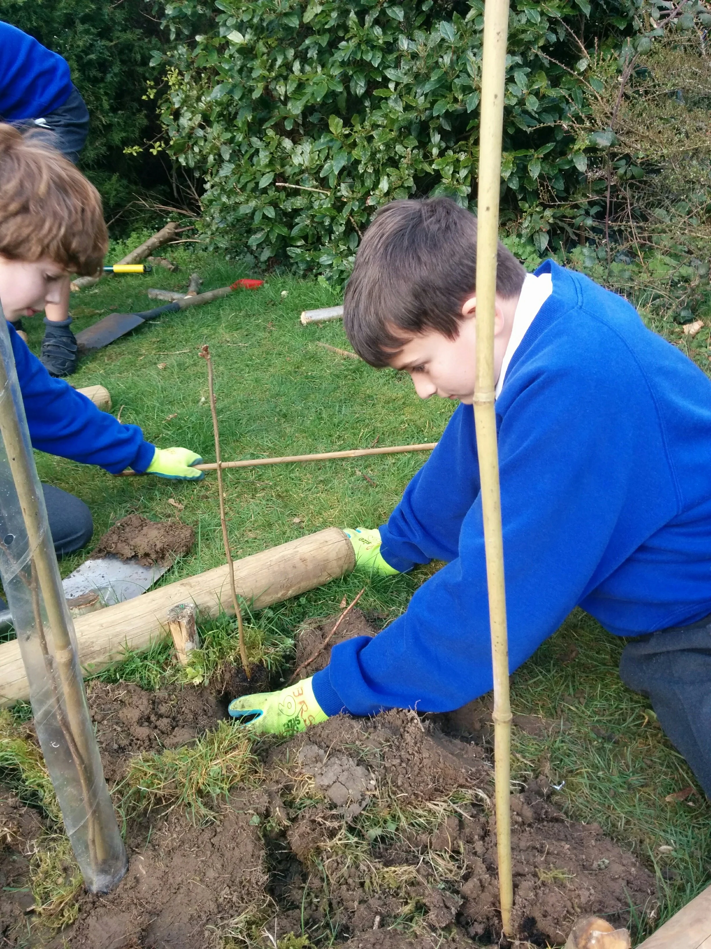 After-school tree projects — Earth Restoration Service