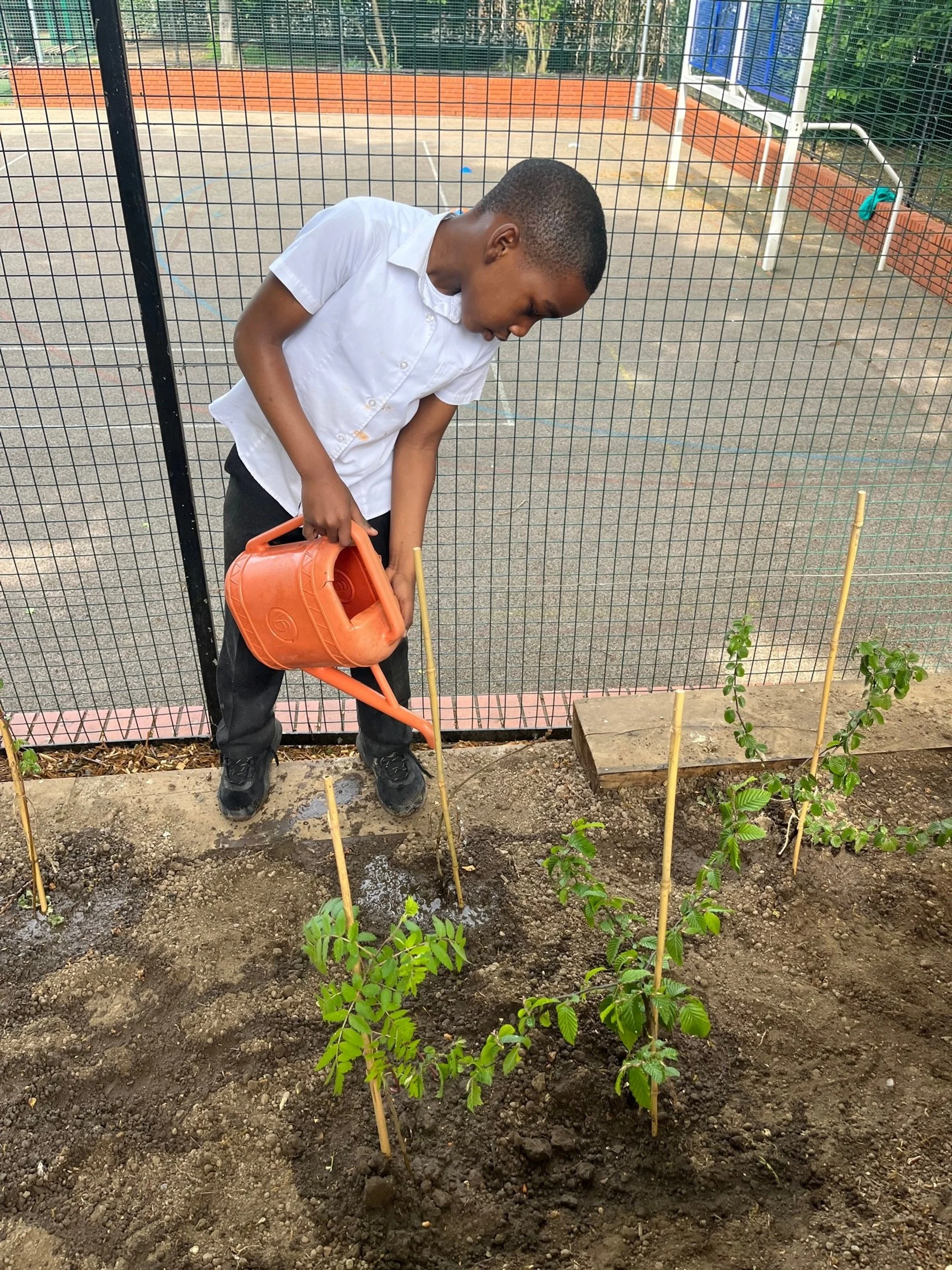 Students had a great day of planting trees in London — Earth ...