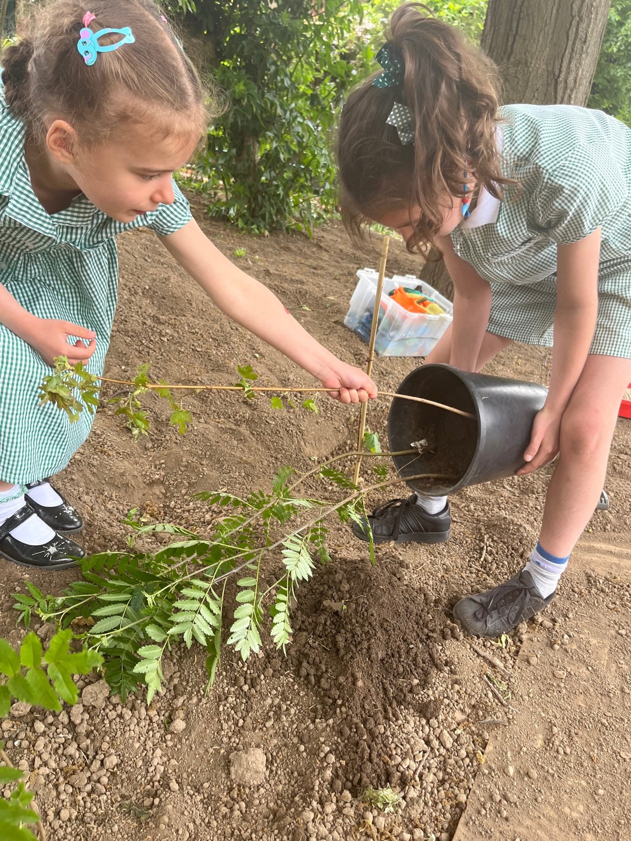 Students had a great day of planting trees in London — Earth ...