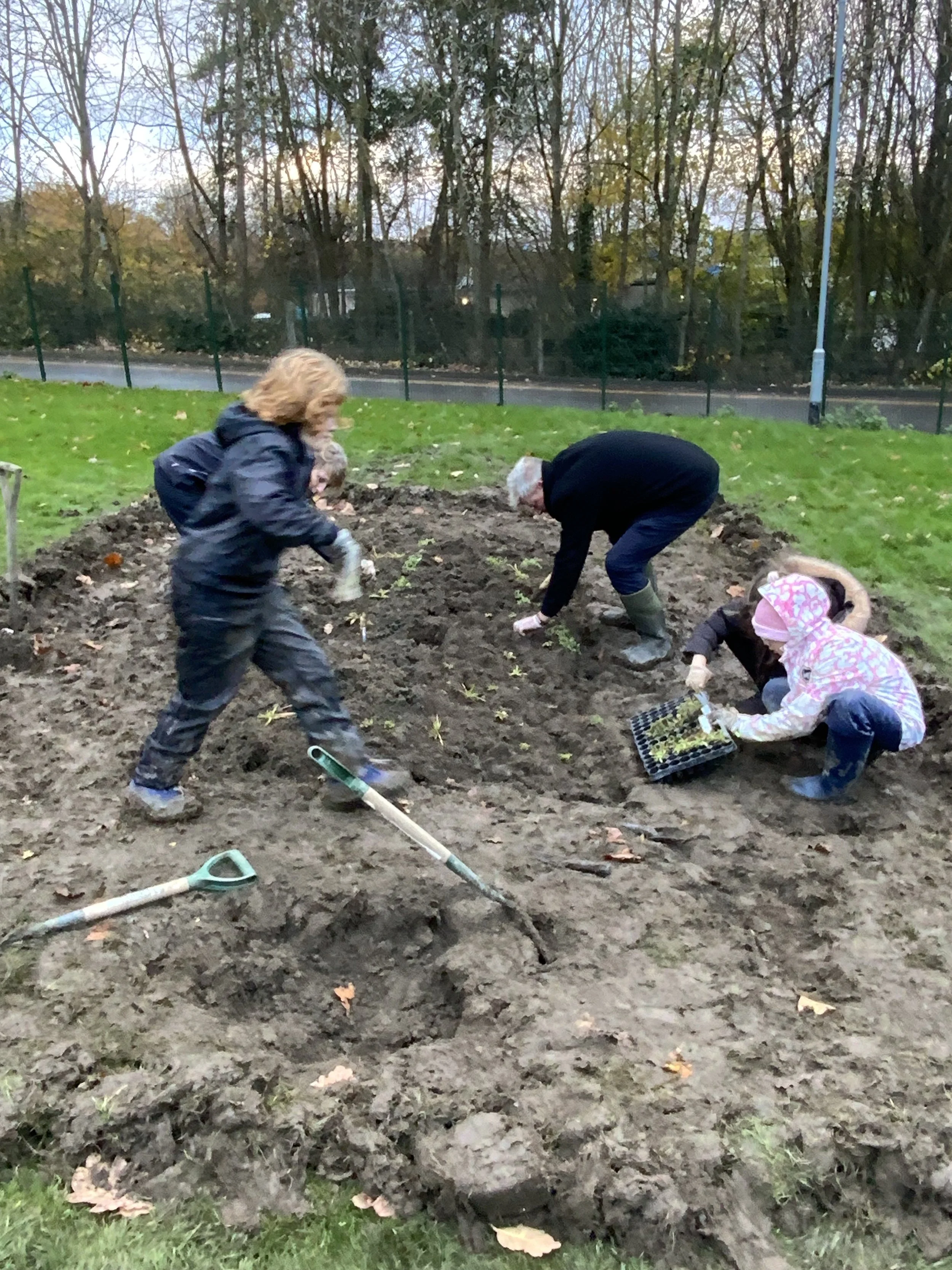Planting 3,050 wildflowers with schools in 2023 — Earth Restoration Service