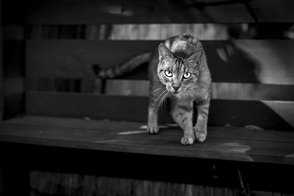 Your Anger Is Not the Problem—Here’s How to Use It as Fuel — Carla ...