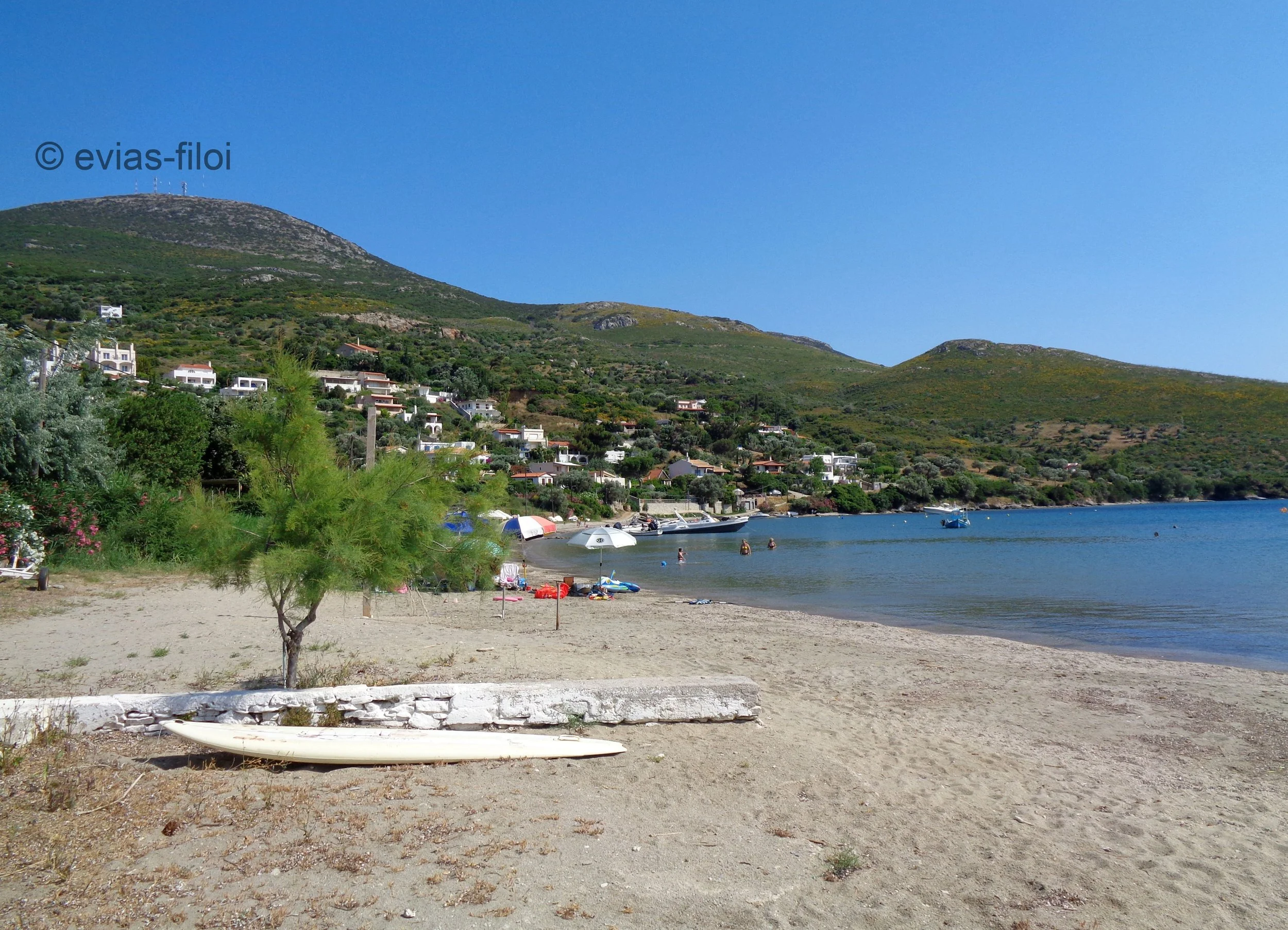 Νημποριό νότιας Εύβοιας φίλοι! 30 φωτογραφίες και πληροφορίες ...