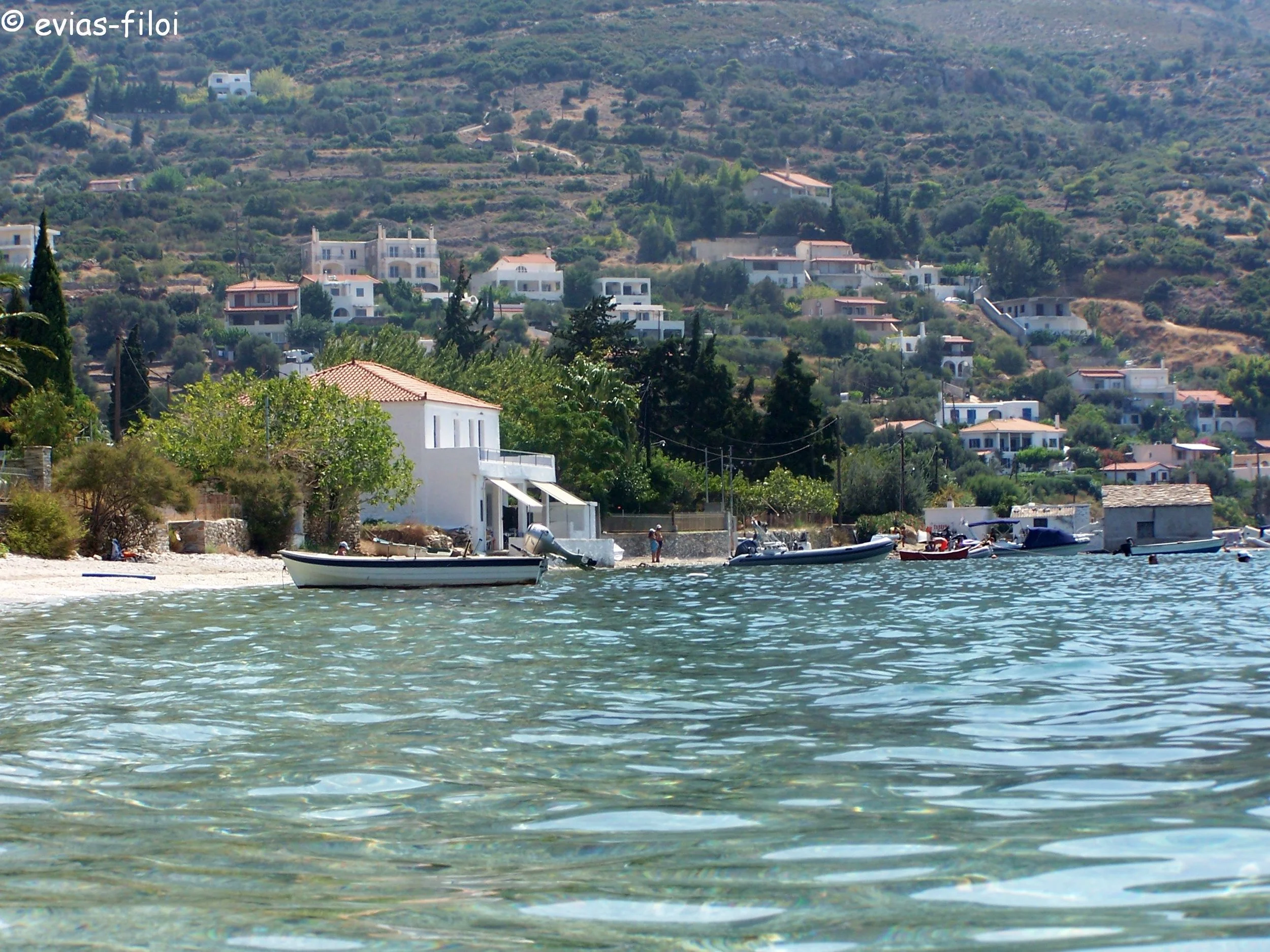 Νημποριό νότιας Εύβοιας φίλοι! 30 φωτογραφίες και πληροφορίες ...
