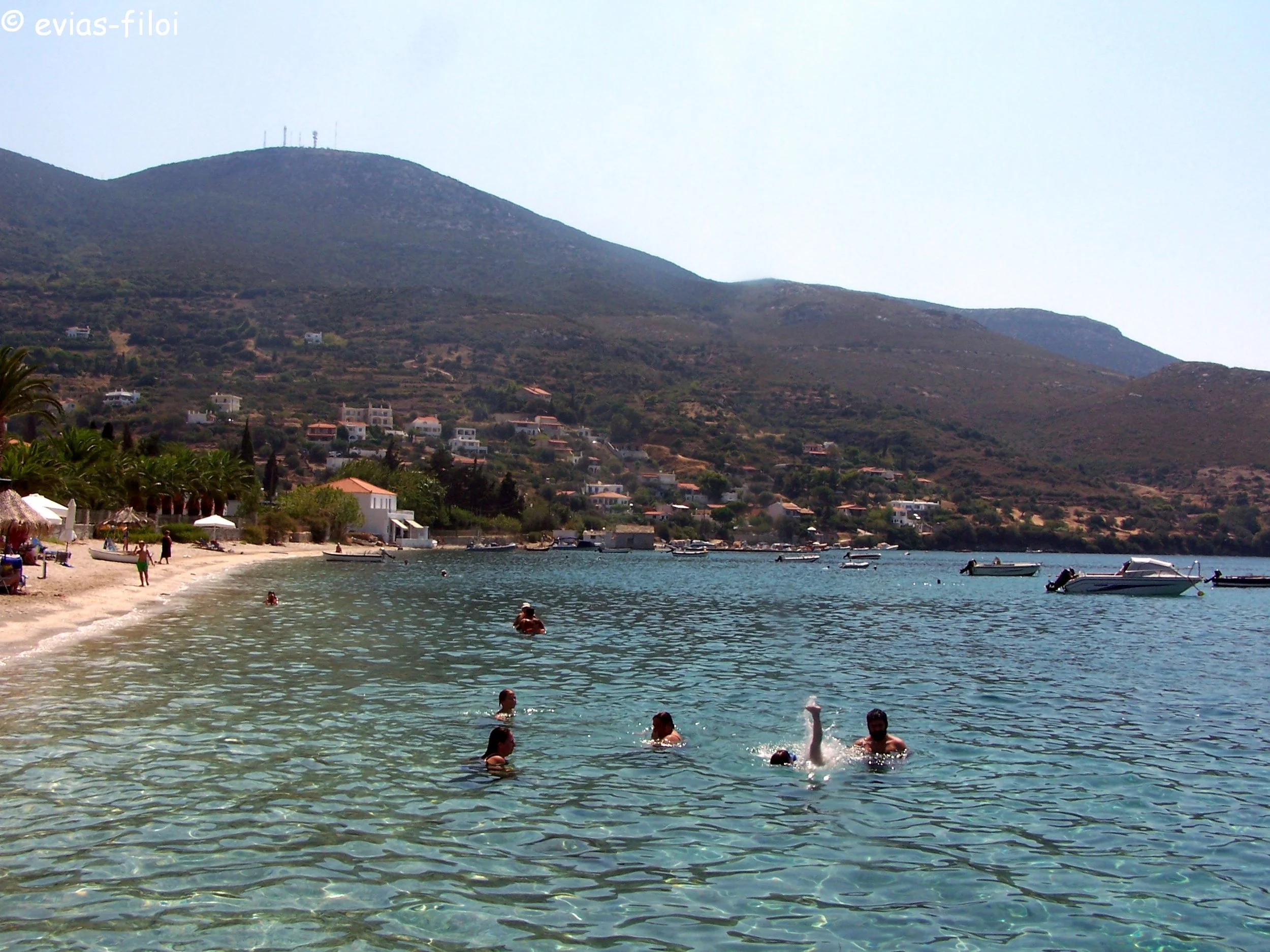 Νημποριό νότιας Εύβοιας φίλοι! 30 φωτογραφίες και πληροφορίες ...