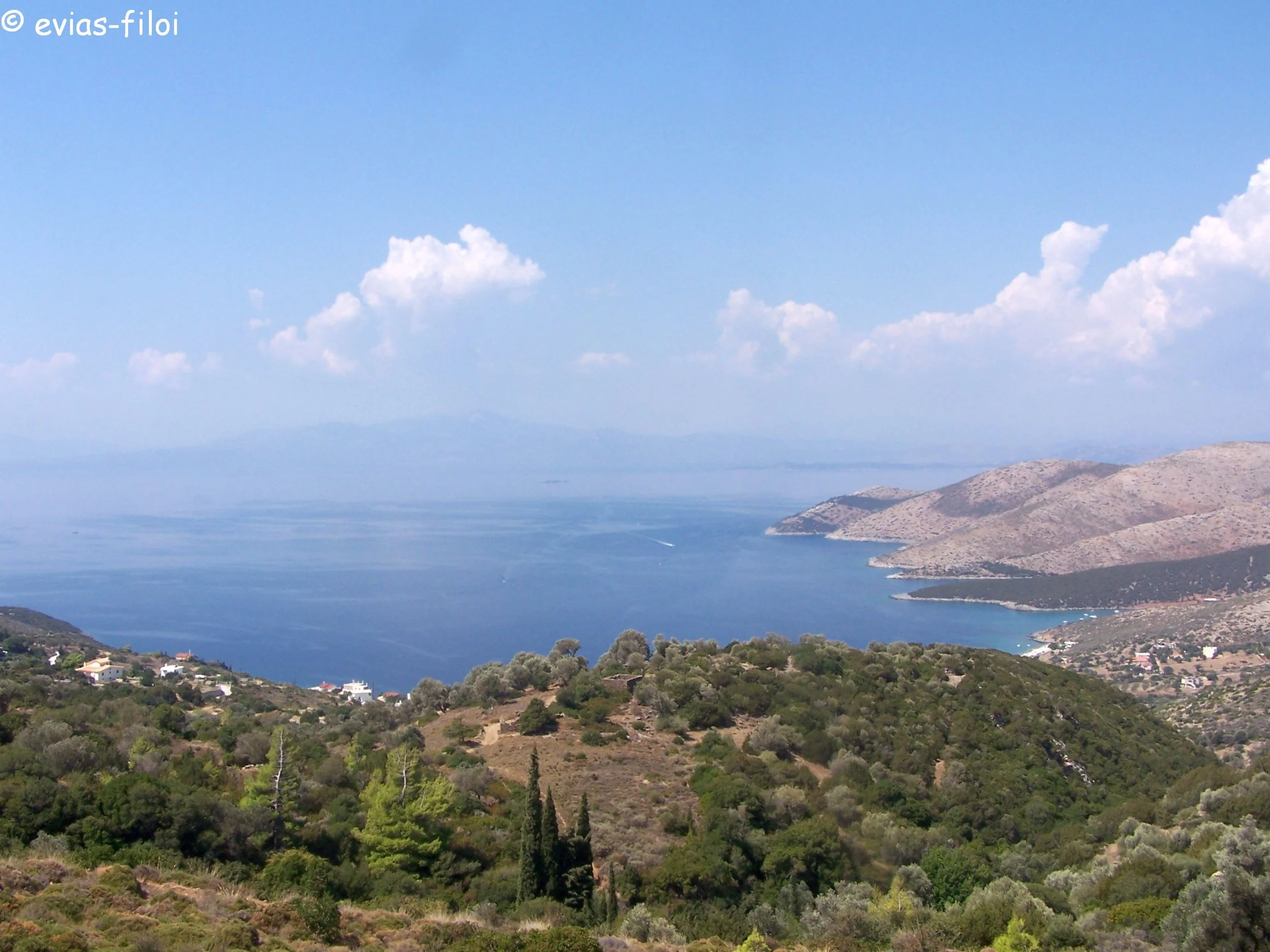 Νημποριό νότιας Εύβοιας φίλοι! 30 φωτογραφίες και πληροφορίες ...