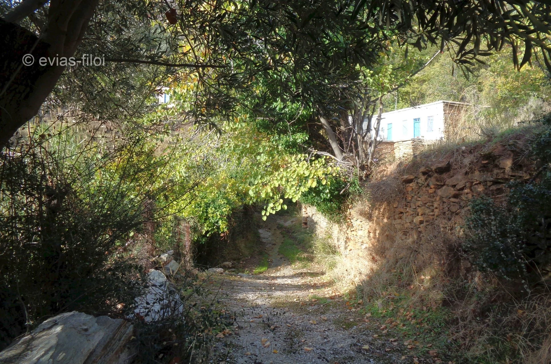 Βολτίτσα μέσα από 12 εικόνες του νησιού μας πάλι, Εύβοιας φίλοι ...