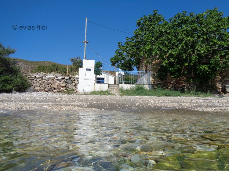 Νημποριό νότιας Εύβοιας φίλοι! 30 φωτογραφίες και πληροφορίες ...
