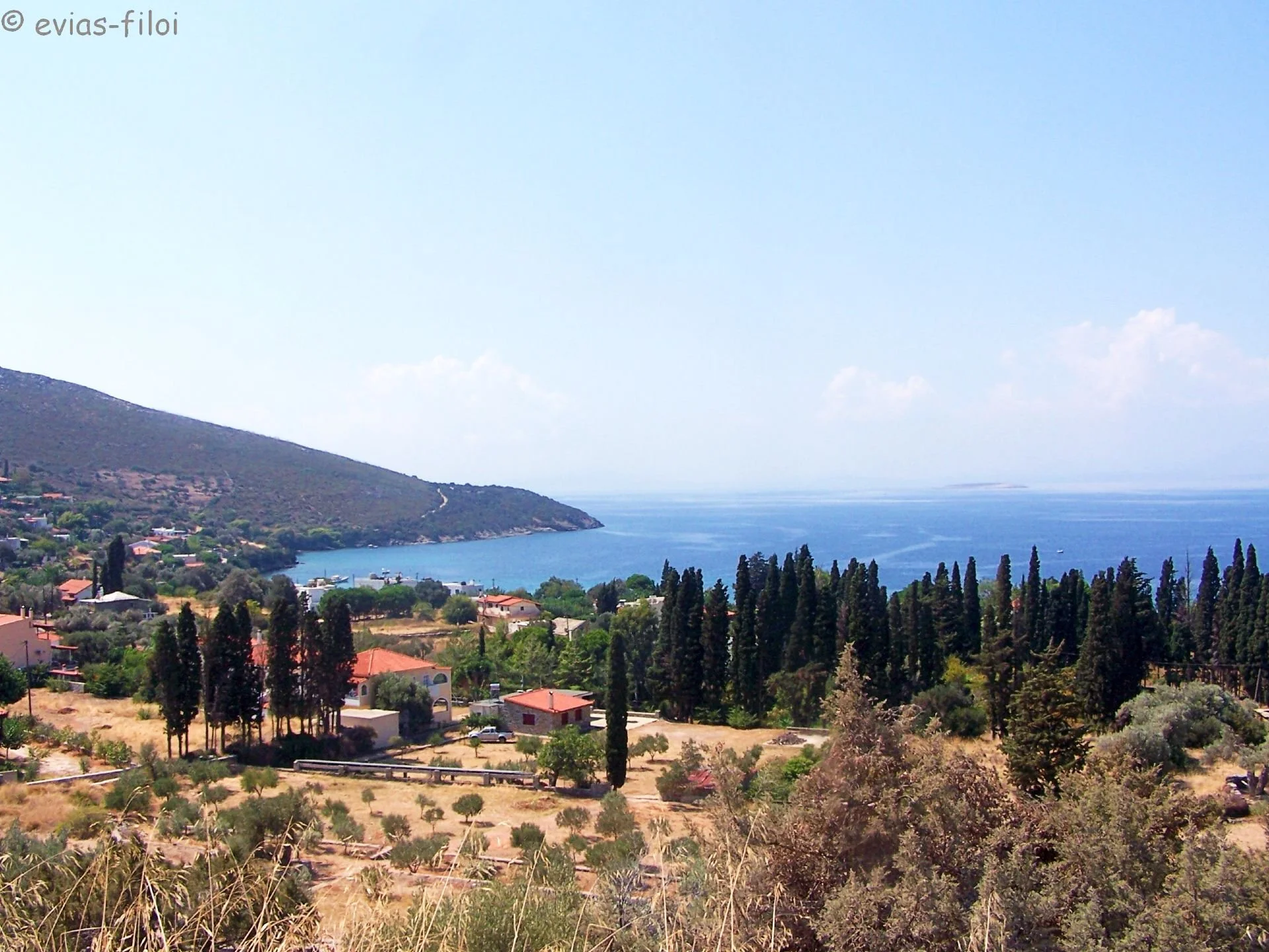 Νημποριό νότιας Εύβοιας φίλοι! 30 φωτογραφίες και πληροφορίες ...