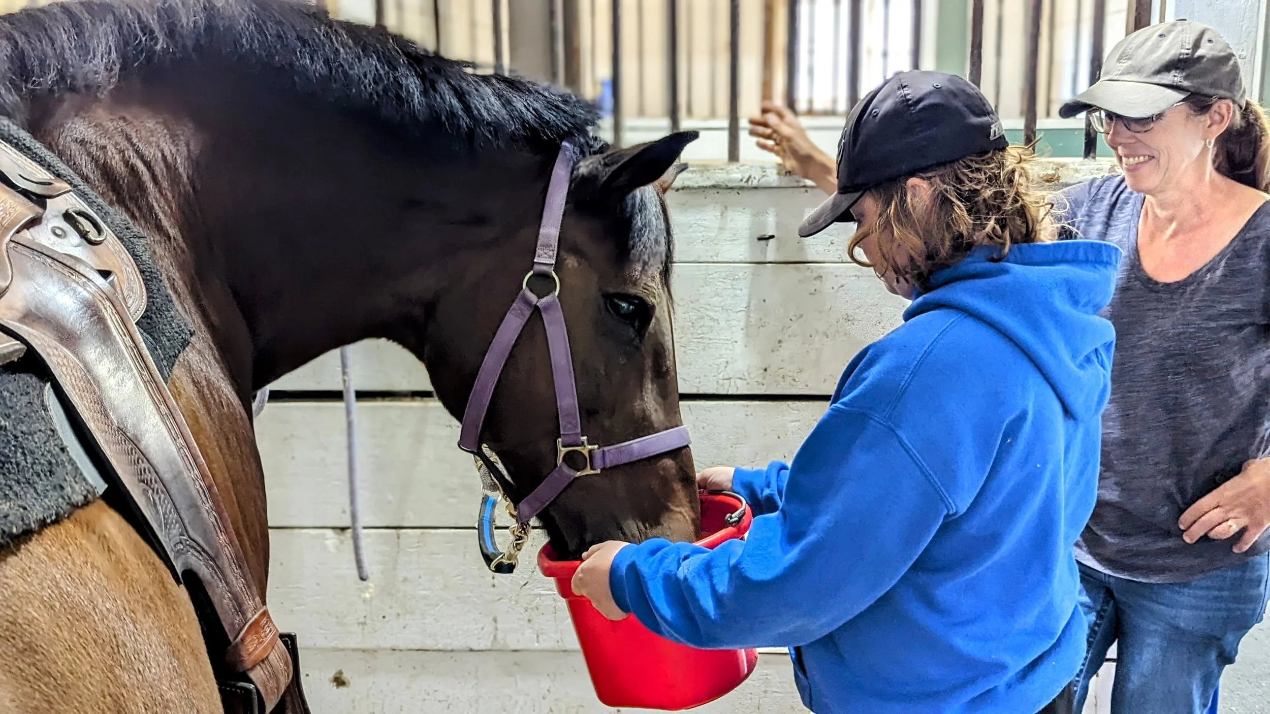 Therapeutic Riding Program — El Centro Equine Services