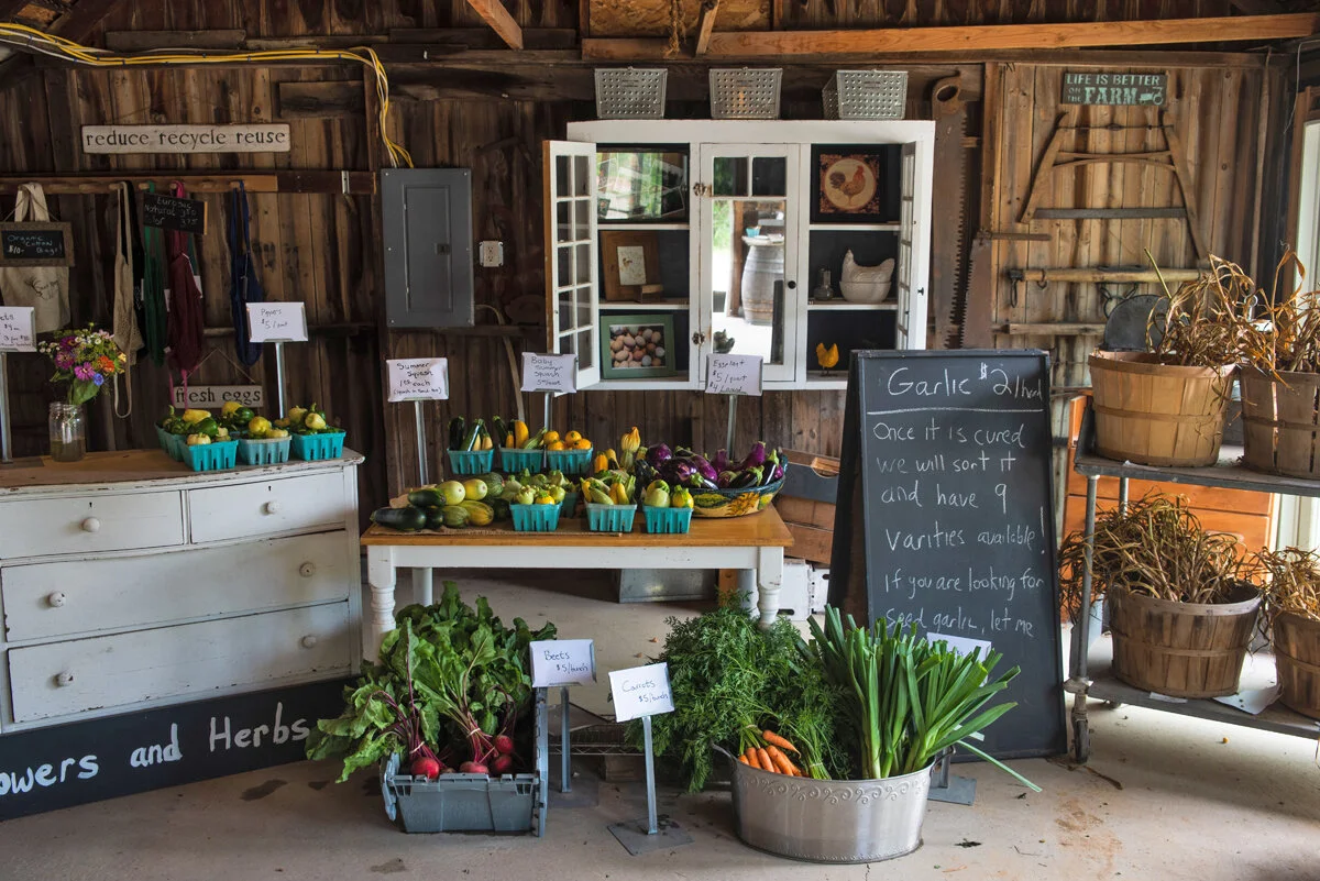 Things To Do | Weekend Getaways Long Island | The Menhaden