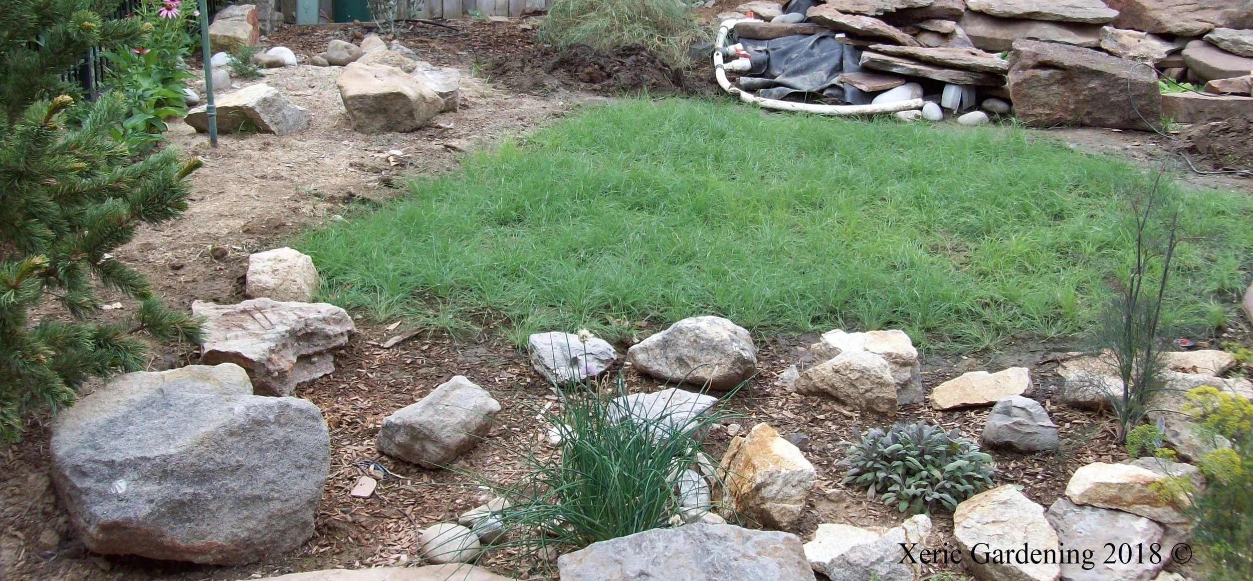 Groundcovers/Lawns