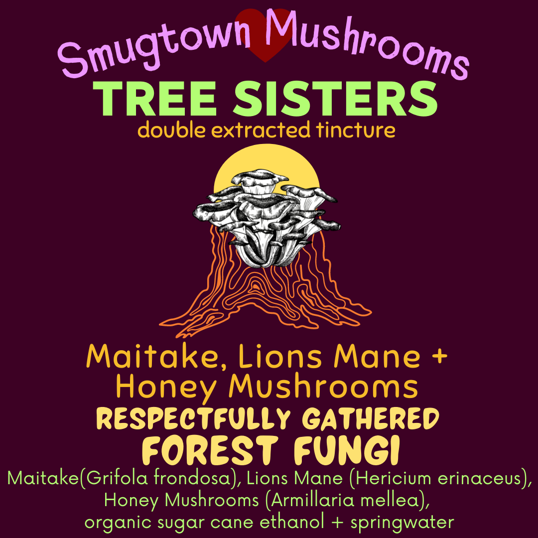 Dried Mushrooms + Extracts — Smugtown Mushrooms