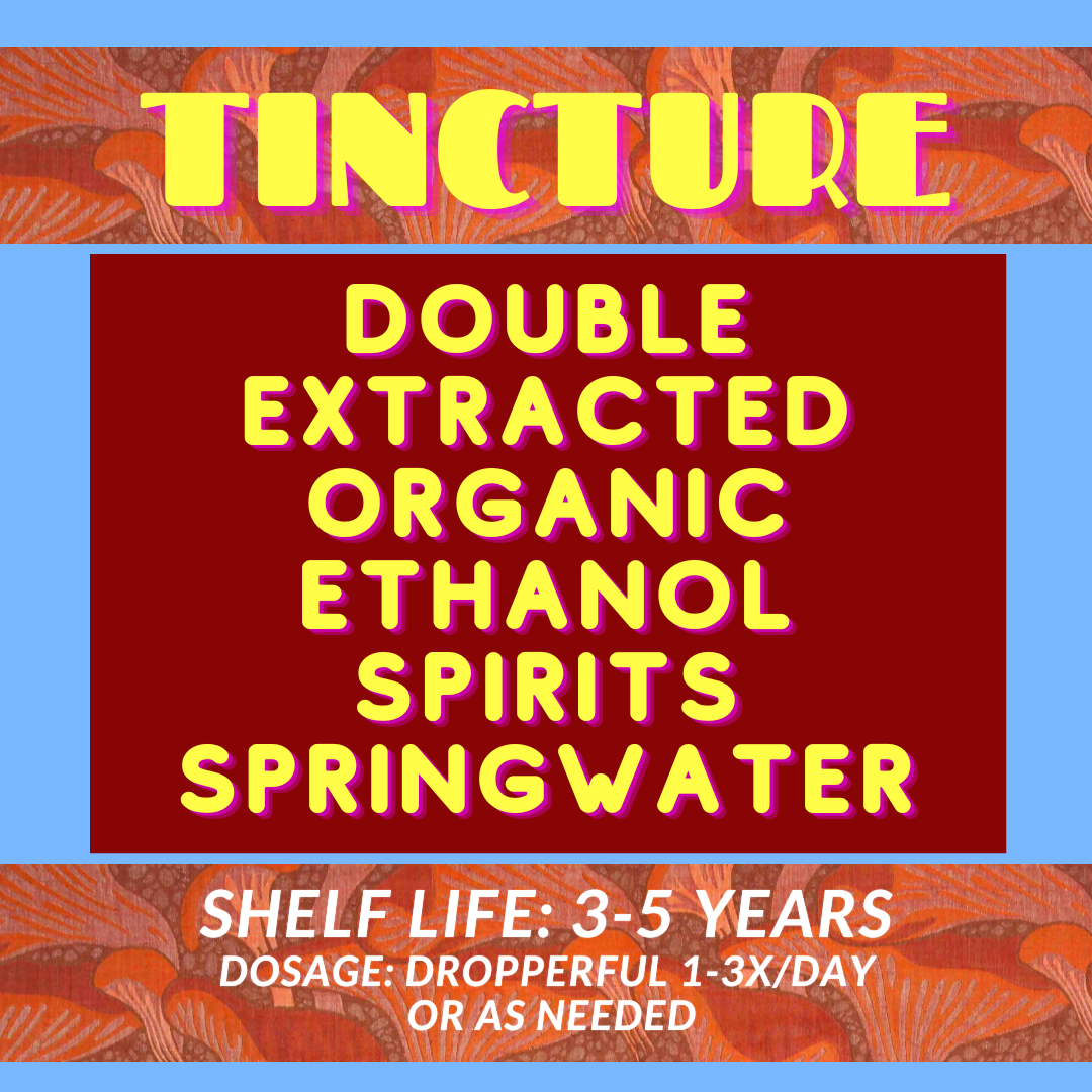 Blood Brain Bitters Oxymel- Our Lions Mane + Botanical Bitters Formula ...