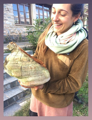 Mushrooms + Culture of Greece — Smugtown Mushrooms