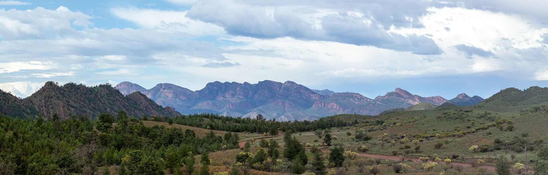 Ben D Woods Photography | South Australian Photographer