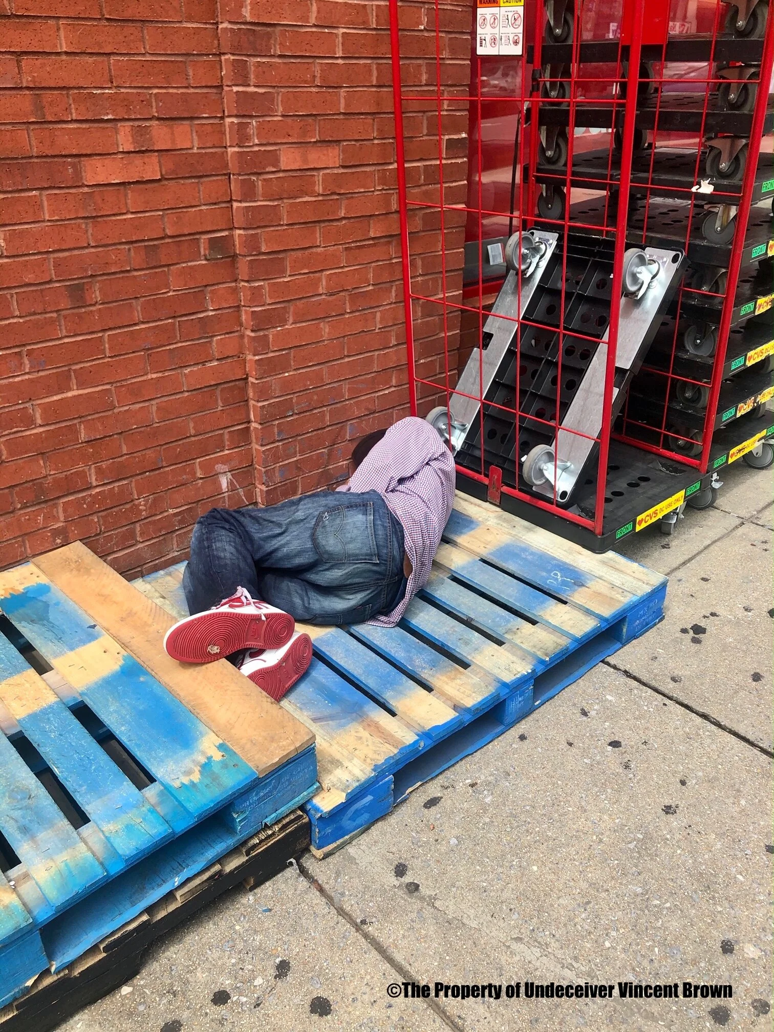 Homeless in The Nation's Capital: 'Looking for the Crate Outdoors' or ...