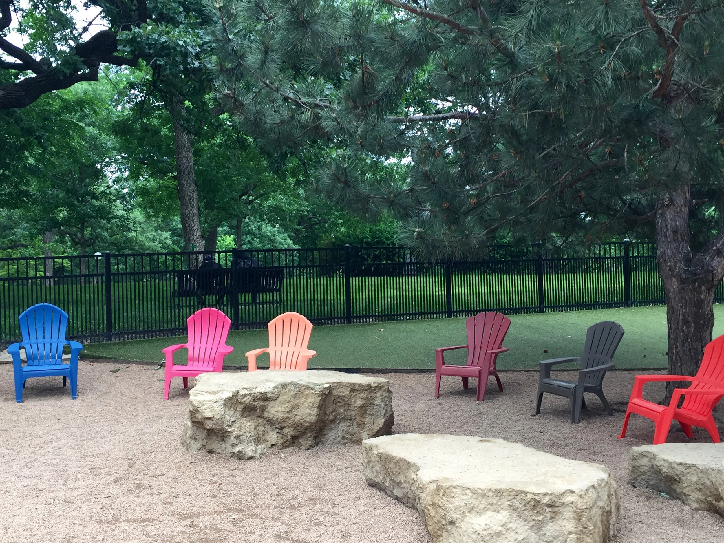 Ray Harris - Loring Dog Park — Verve