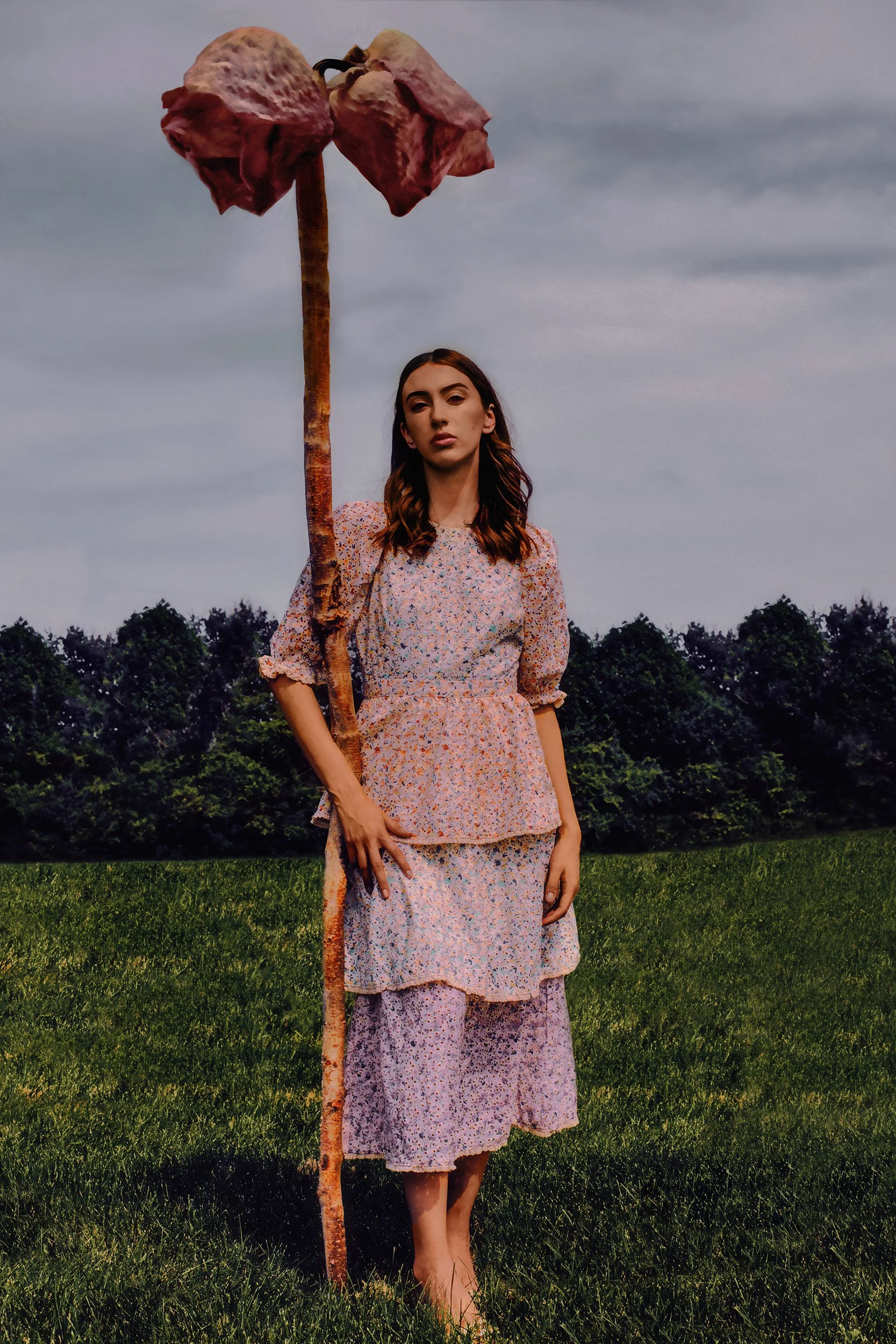 Ali Farouk Saloum - Photographer, Director