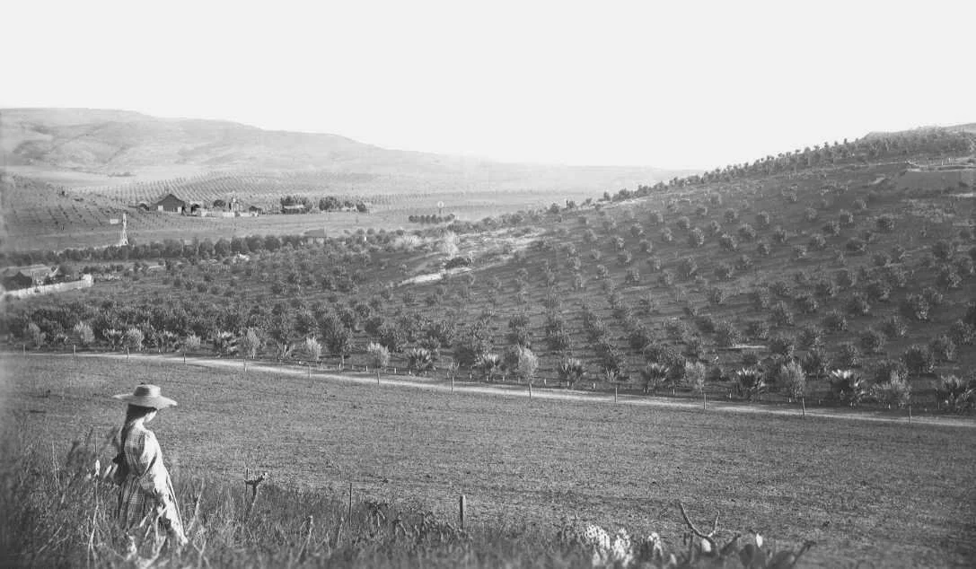 Neighborhood Spotlight: Brookside, La Mesa — Gratefully Home