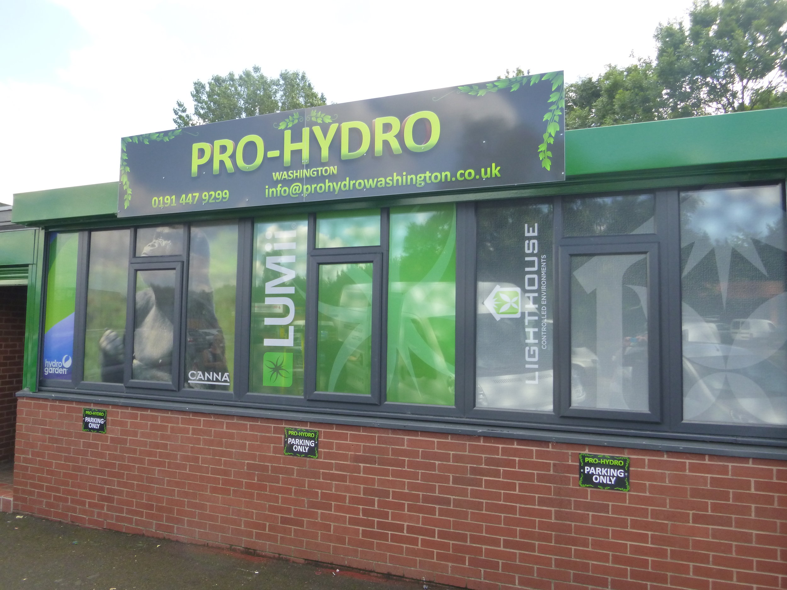 Window Graphics — Radecal Signs and Graphics Ltd