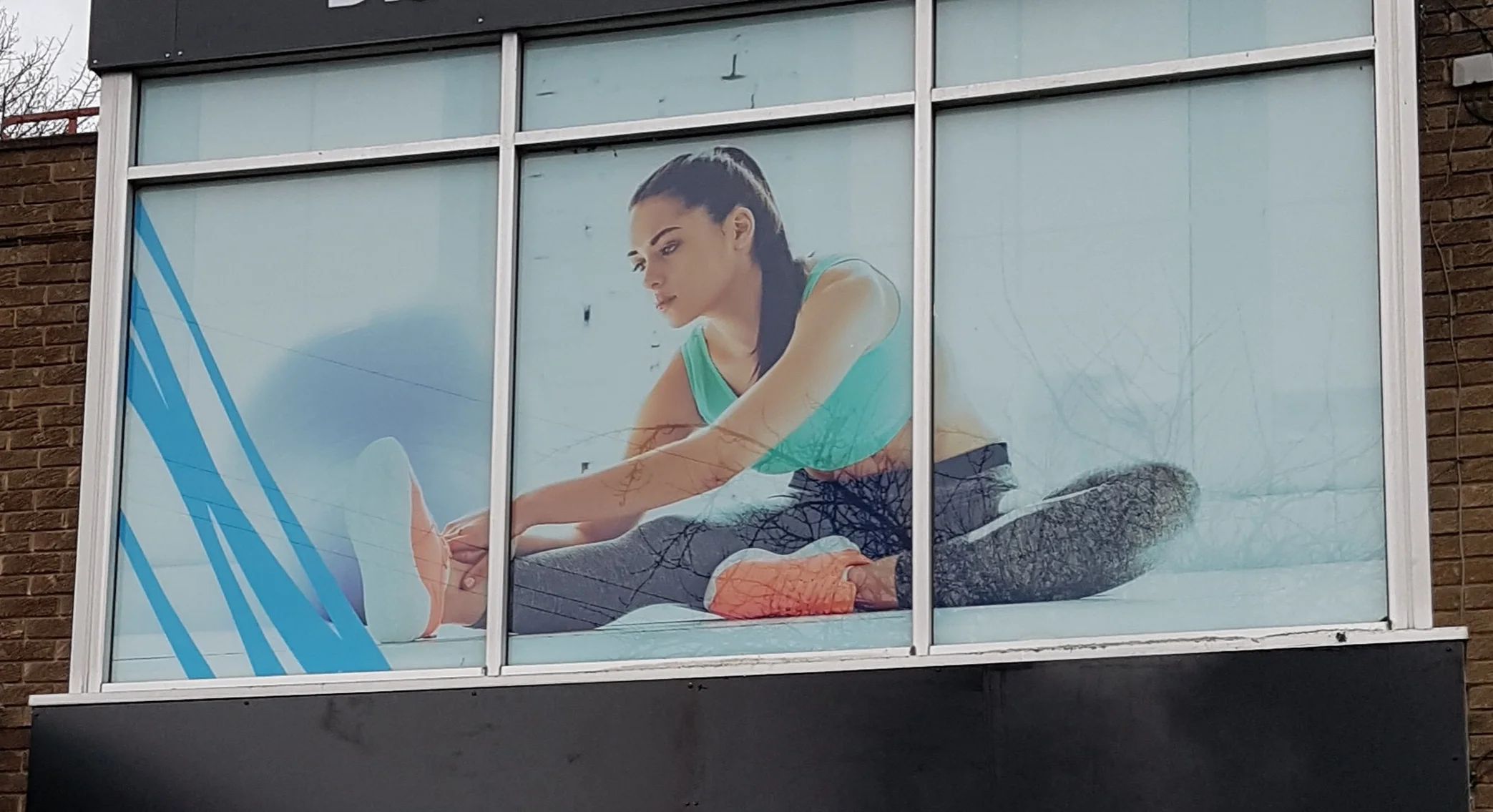 Window Graphics — Radecal Signs and Graphics Ltd