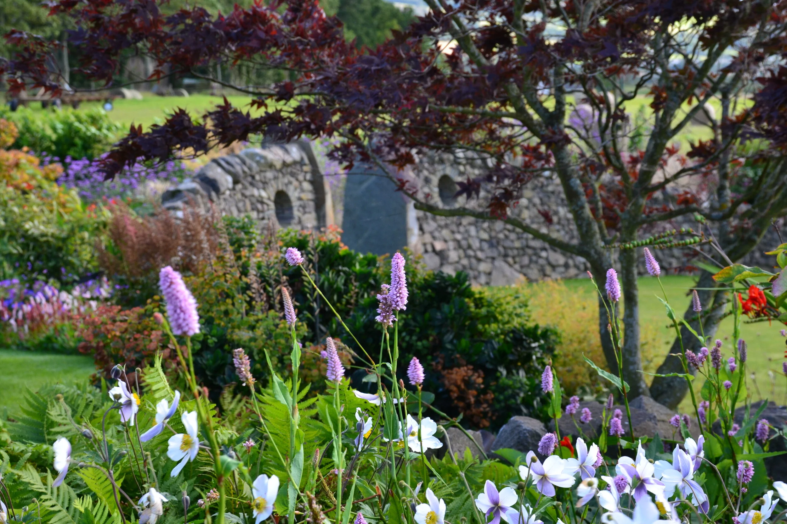Horticulture & Garden Maintenance — Stephen Ogilvie Garden Design ...