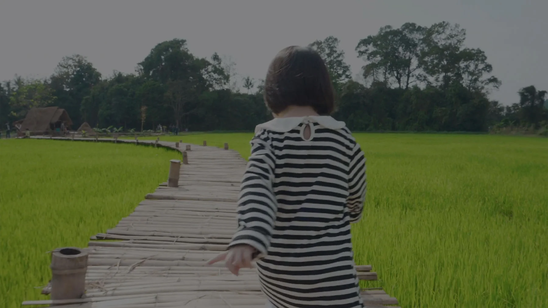 About us...Rope Bridges by Treehouse Life Ltd. "a world away from ...