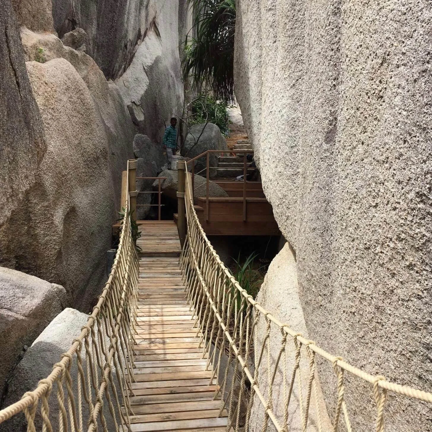 Rope Bridge projects - UK and Worldwide - Design and Install