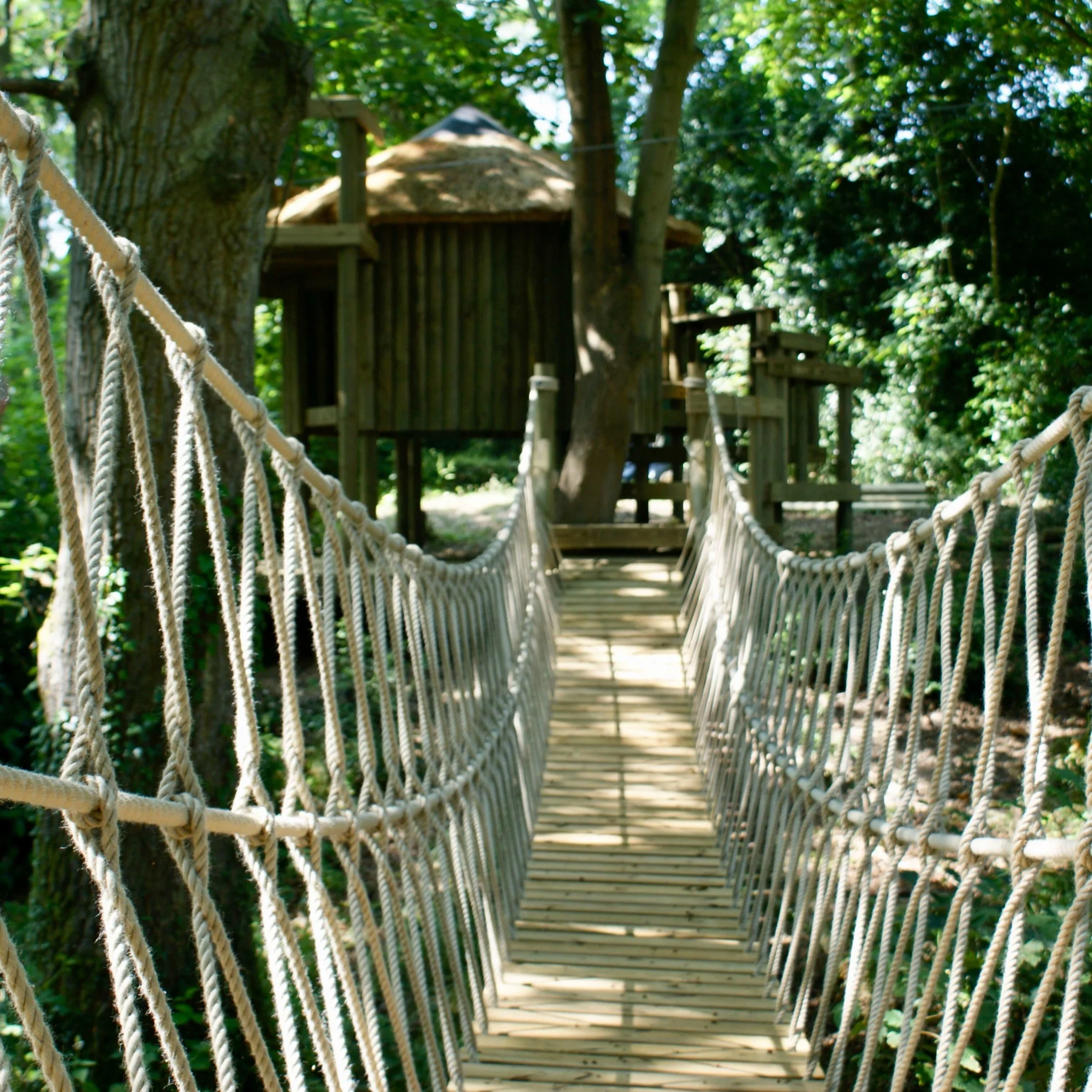 Rope Bridge projects - UK and Worldwide - Design and Install