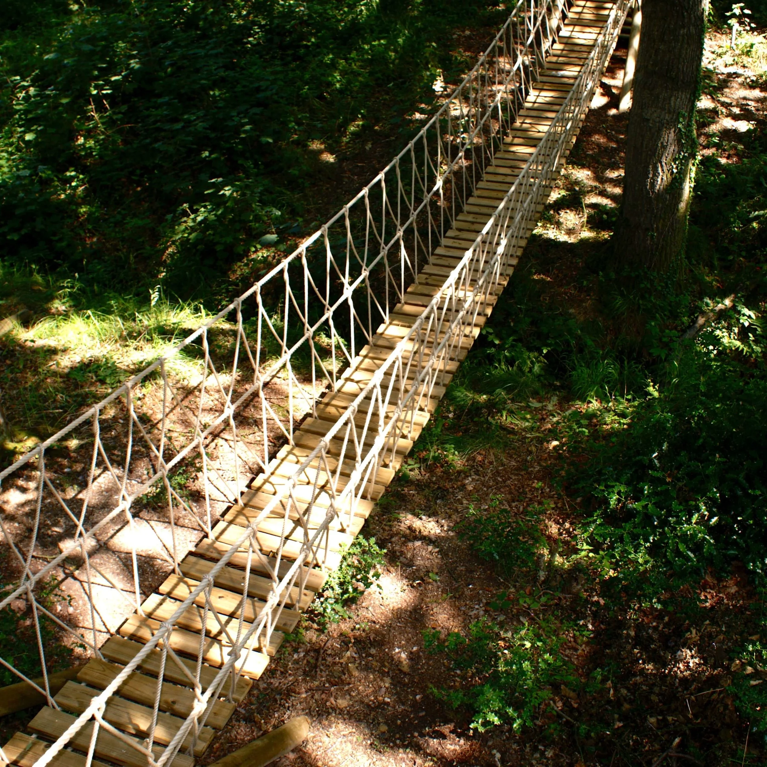 Rope Bridge projects - UK and Worldwide - Design and Install