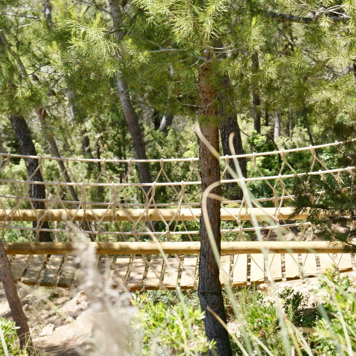 Suspended, Fixed-Beam and Log Rope Bridge types across rivers, lakes ...