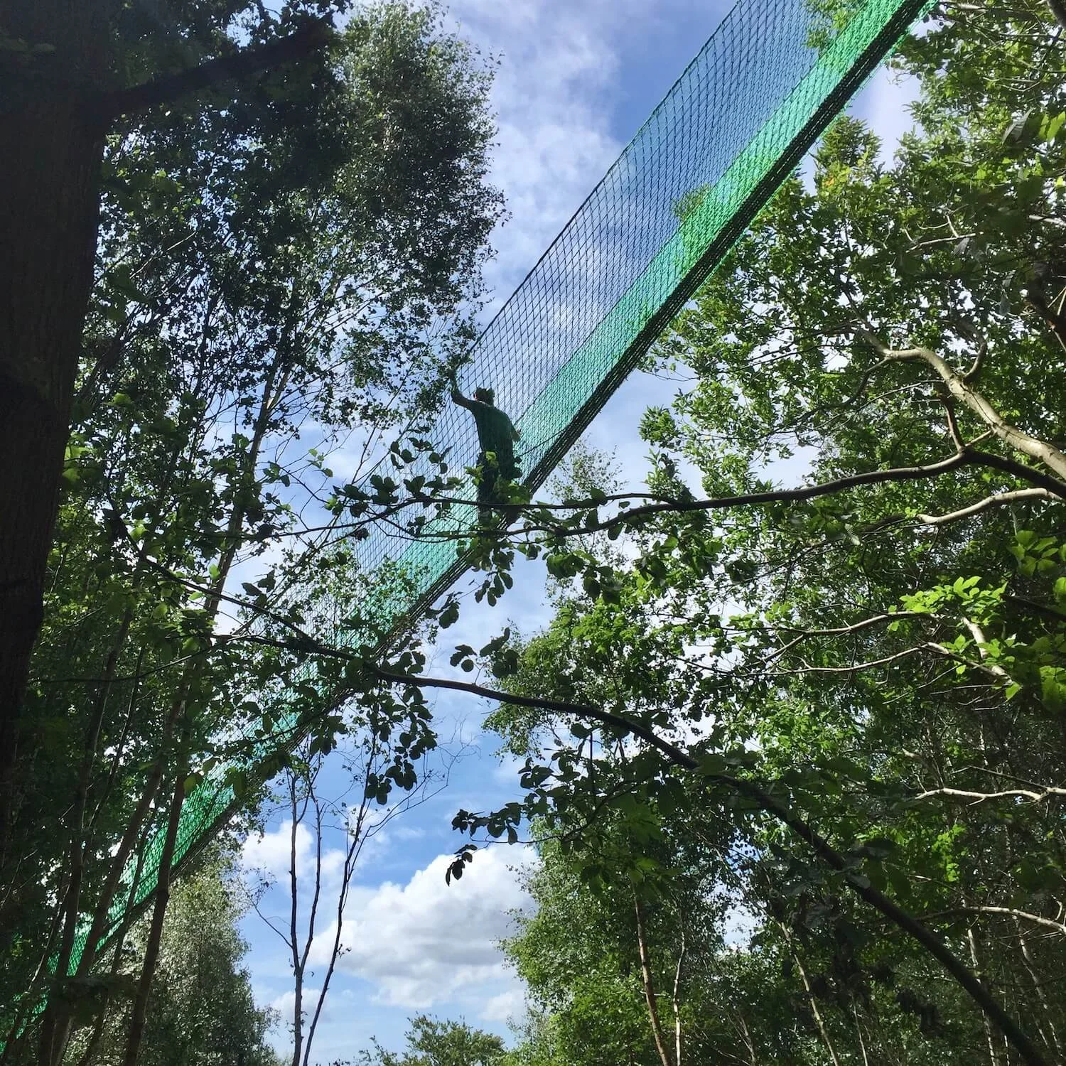 Rope Bridge projects - UK and Worldwide - Design and Install