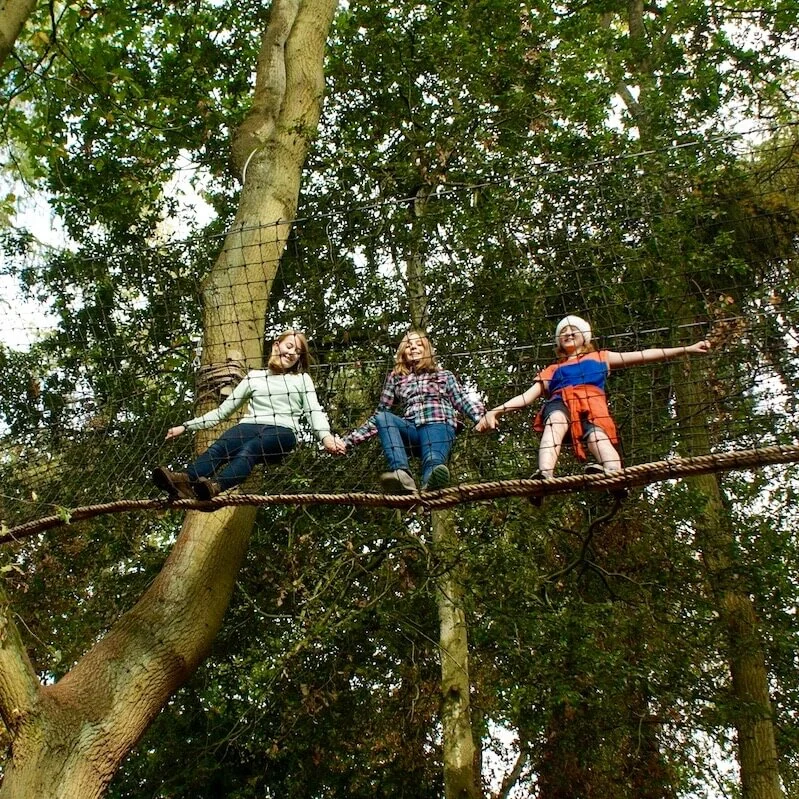 Treetop Walkways — Rope Bridge Projects - UK and Worldwide - Design and ...