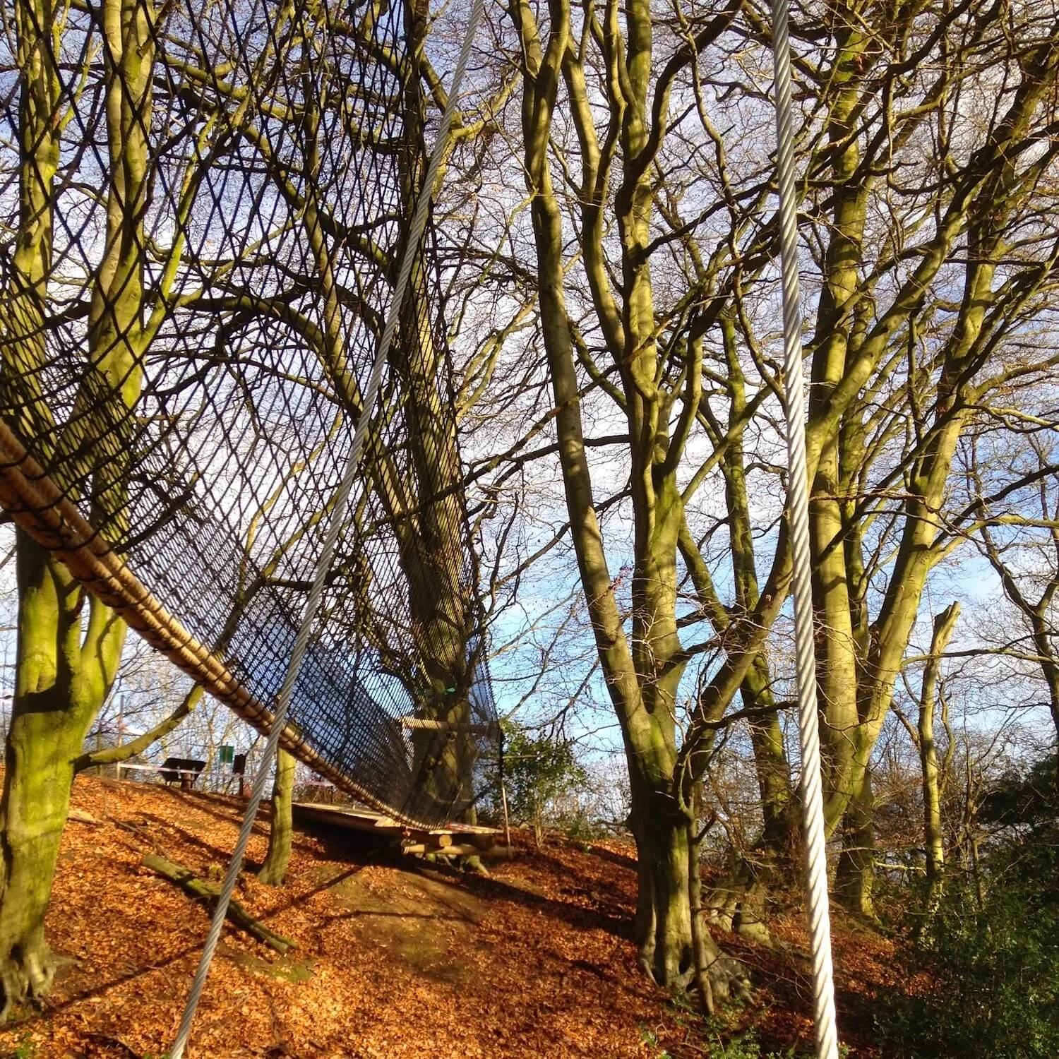 Treetop Walkways | Explore Nature — Experience Treetop Walkways — Rope ...