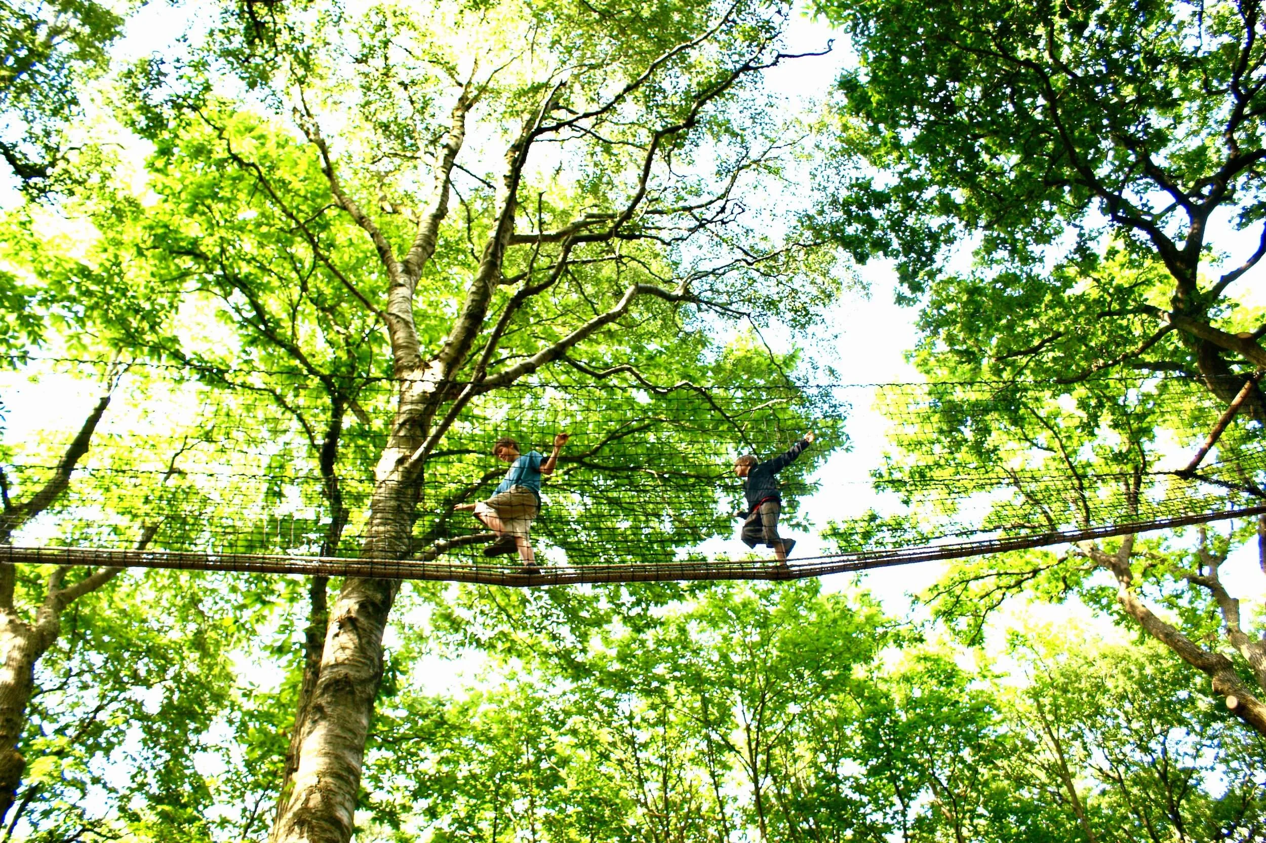 Treetop Walkways — Rope Bridge Projects - UK and Worldwide - Design and ...