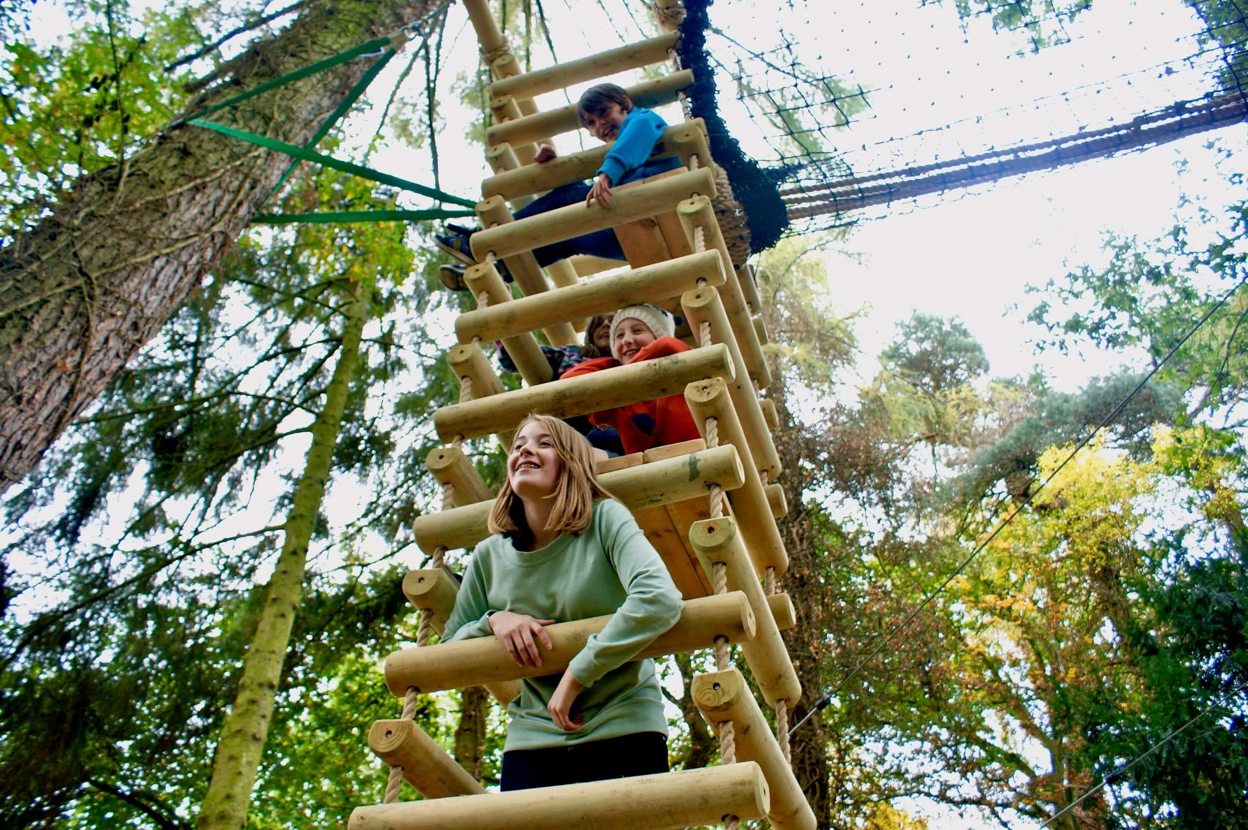 Treetop Walkways — Rope Bridge Projects - UK and Worldwide - Design and ...