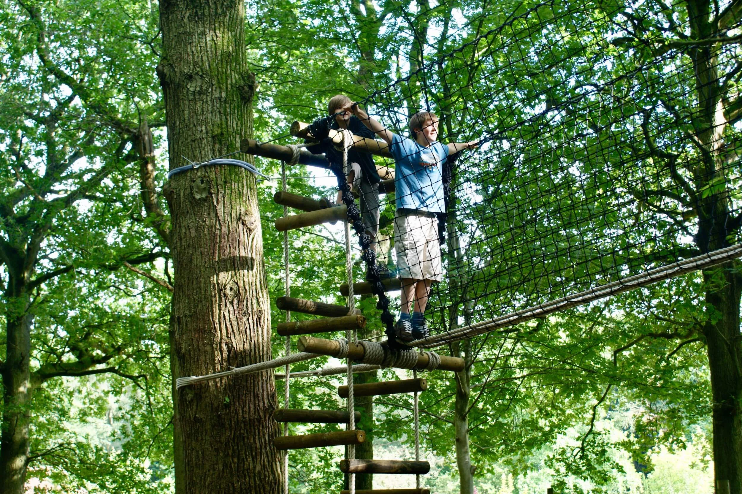 Treetop Walkways — Rope Bridge Projects - UK and Worldwide - Design and ...