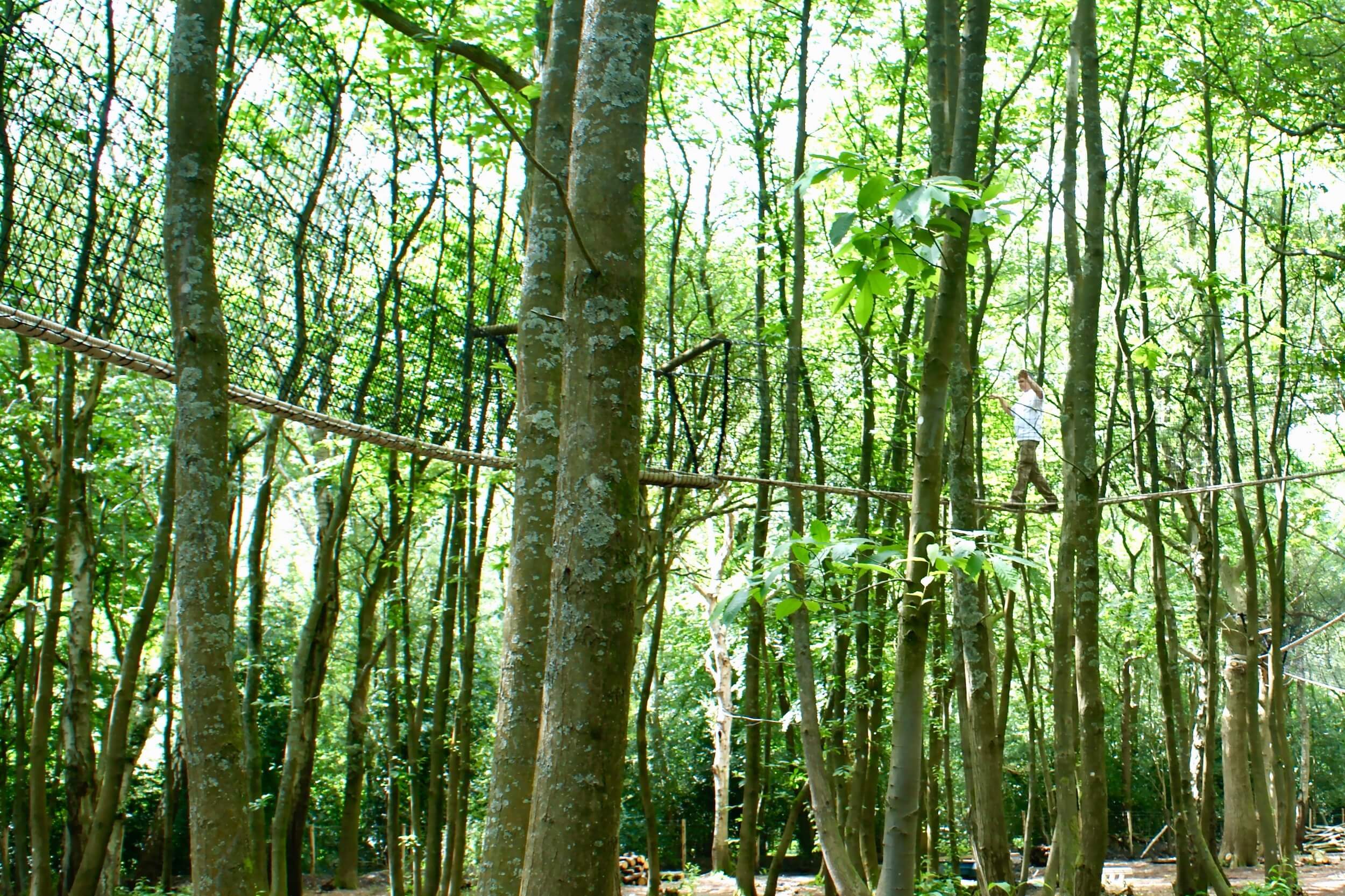 Treetop Walkways — Rope Bridge Projects - UK and Worldwide - Design and ...